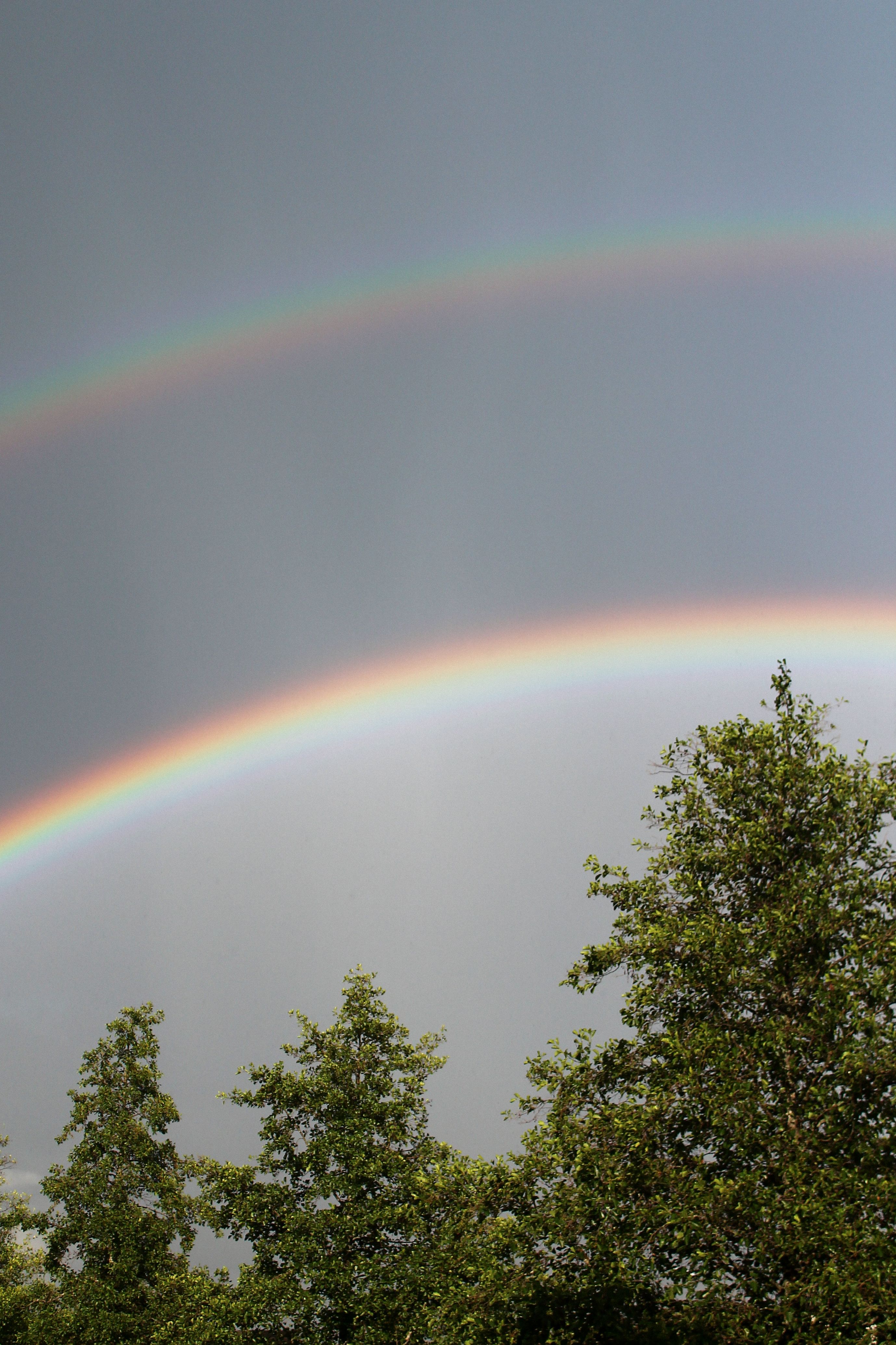 Small+Rainbows Photos, Download The BEST Free Small+Rainbows Stock ...