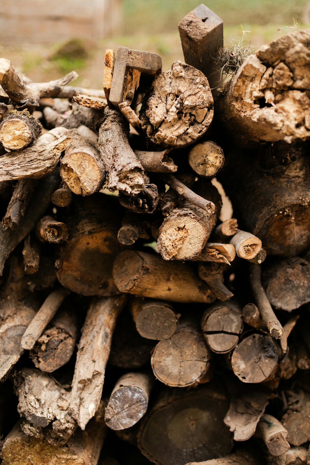 Wood Pattern Photos, Download The BEST Free Wood Pattern Stock Photos ...