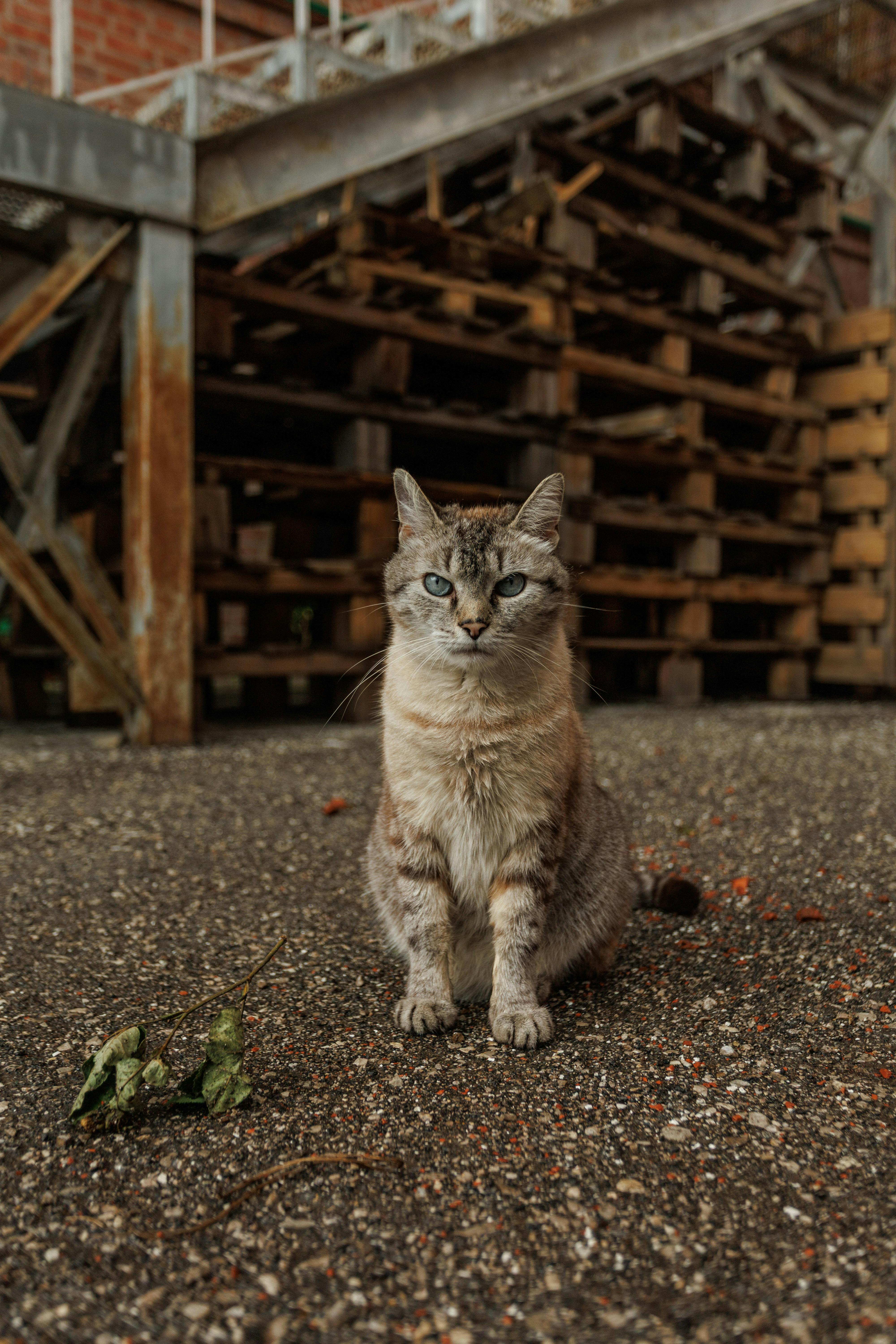 Industrial Flex Warehouse Photos, Download The BEST Free Industrial ...