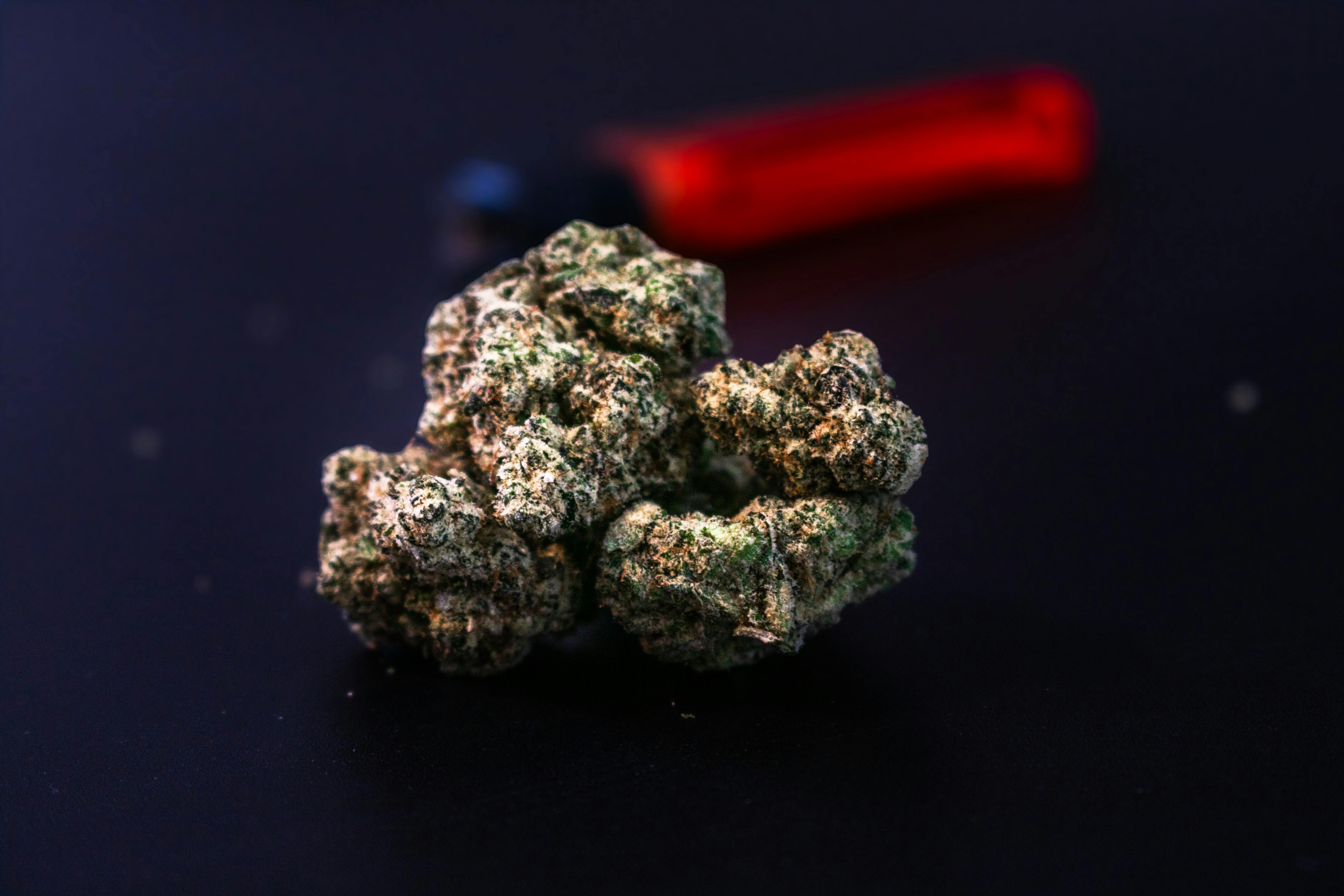 Foto de stock gratuita sobre amigo, bienes parafernales, botánico ...