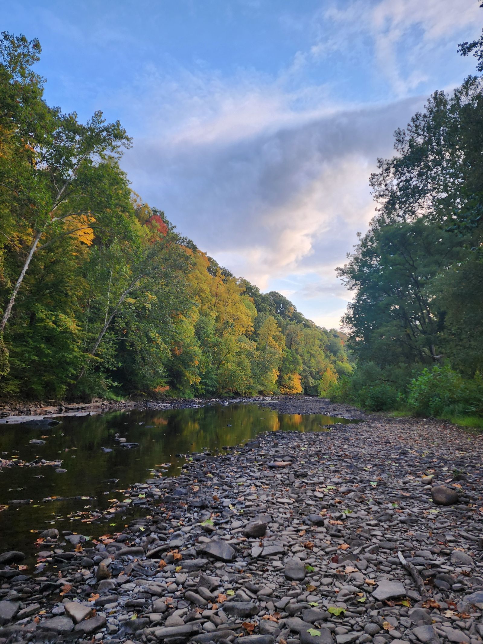 Autumn Forest Landscape Photos, Download The BEST Free Autumn Forest ...