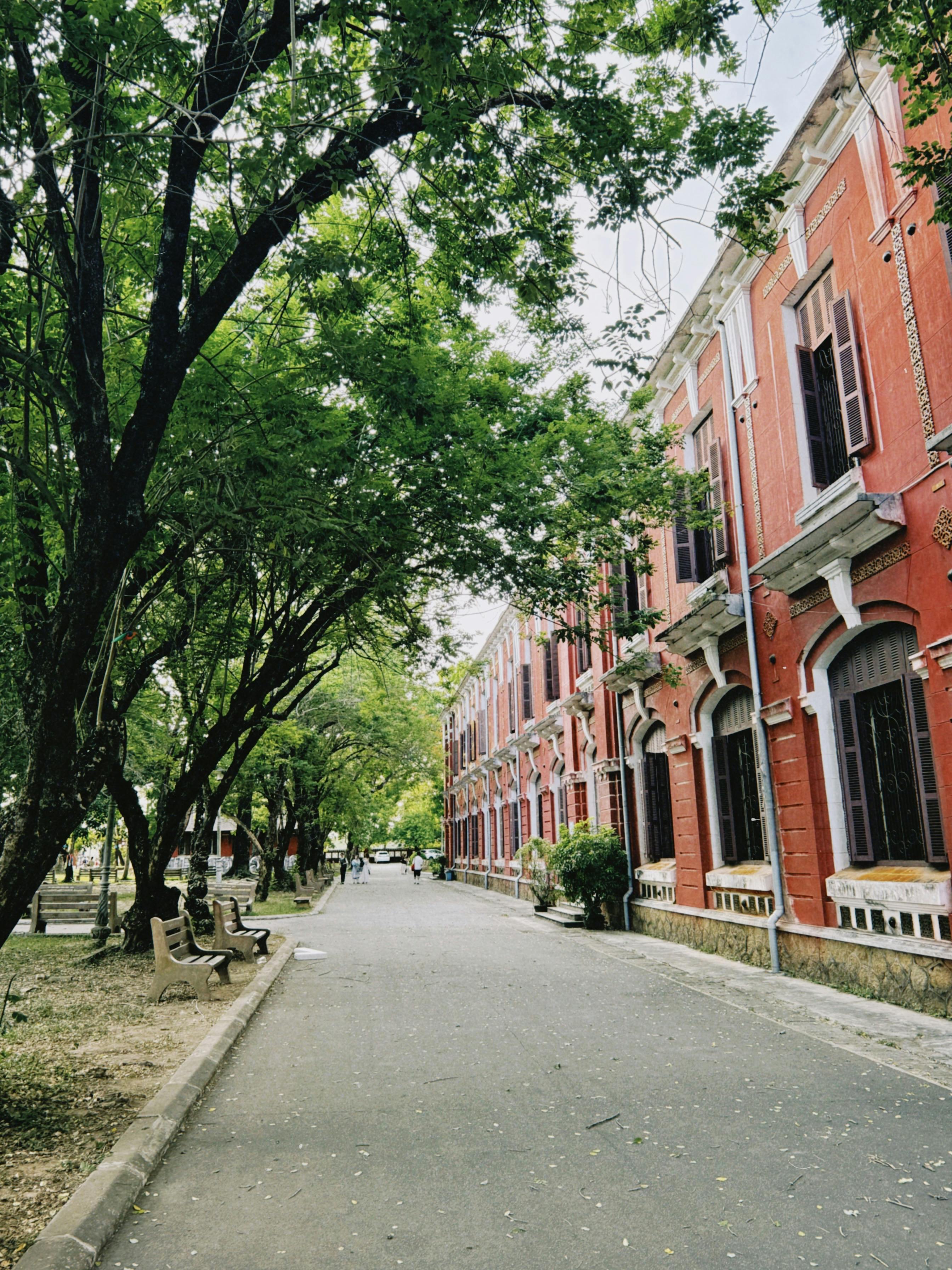 Historic Red Brick Buildings Lined with Trees · Free Stock Photo