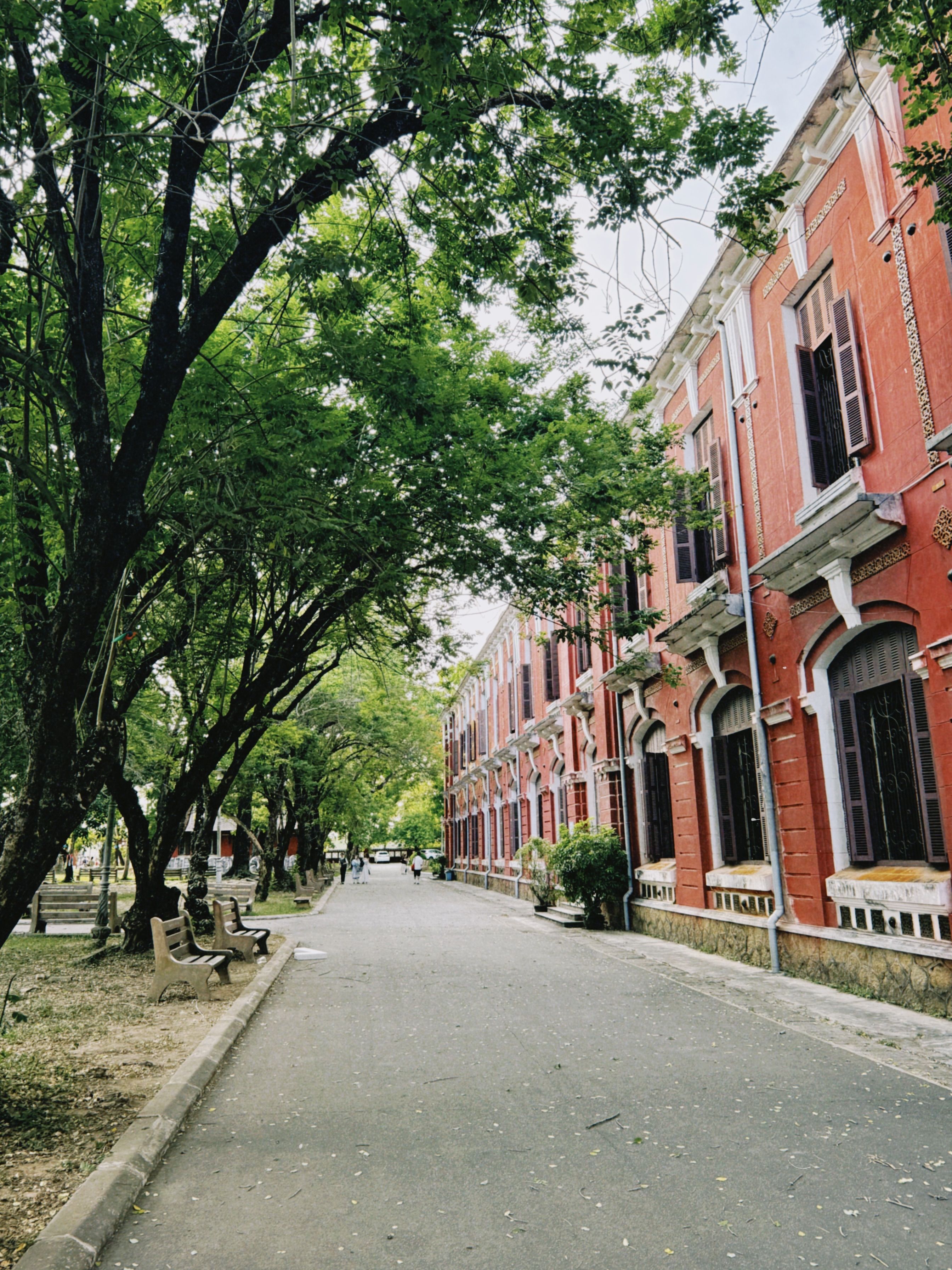 Historic Red Brick Buildings Lined with Trees · Free Stock Photo