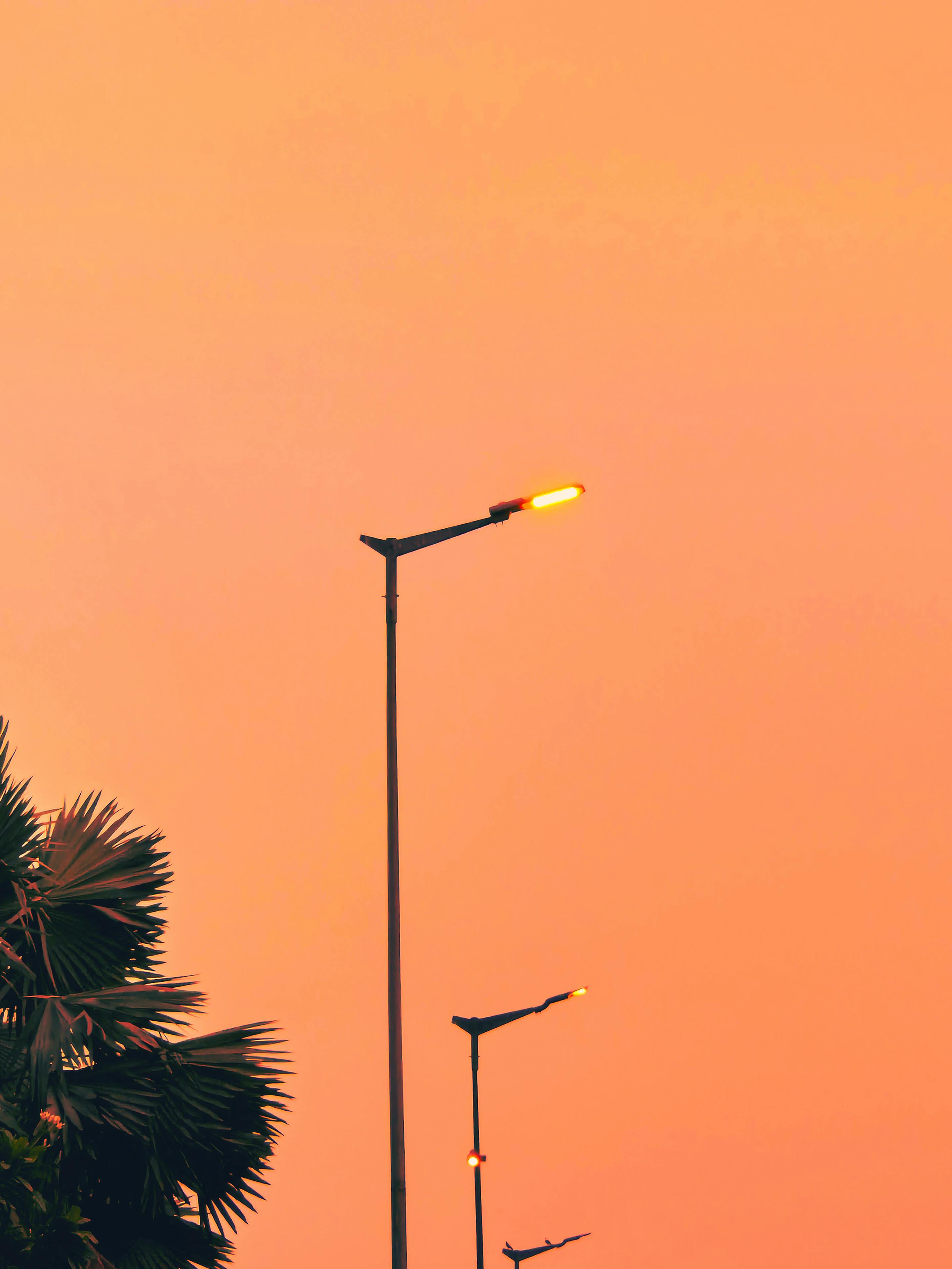 Serene Sunset with Streetlights and Palm Leaves · Free Stock Photo
