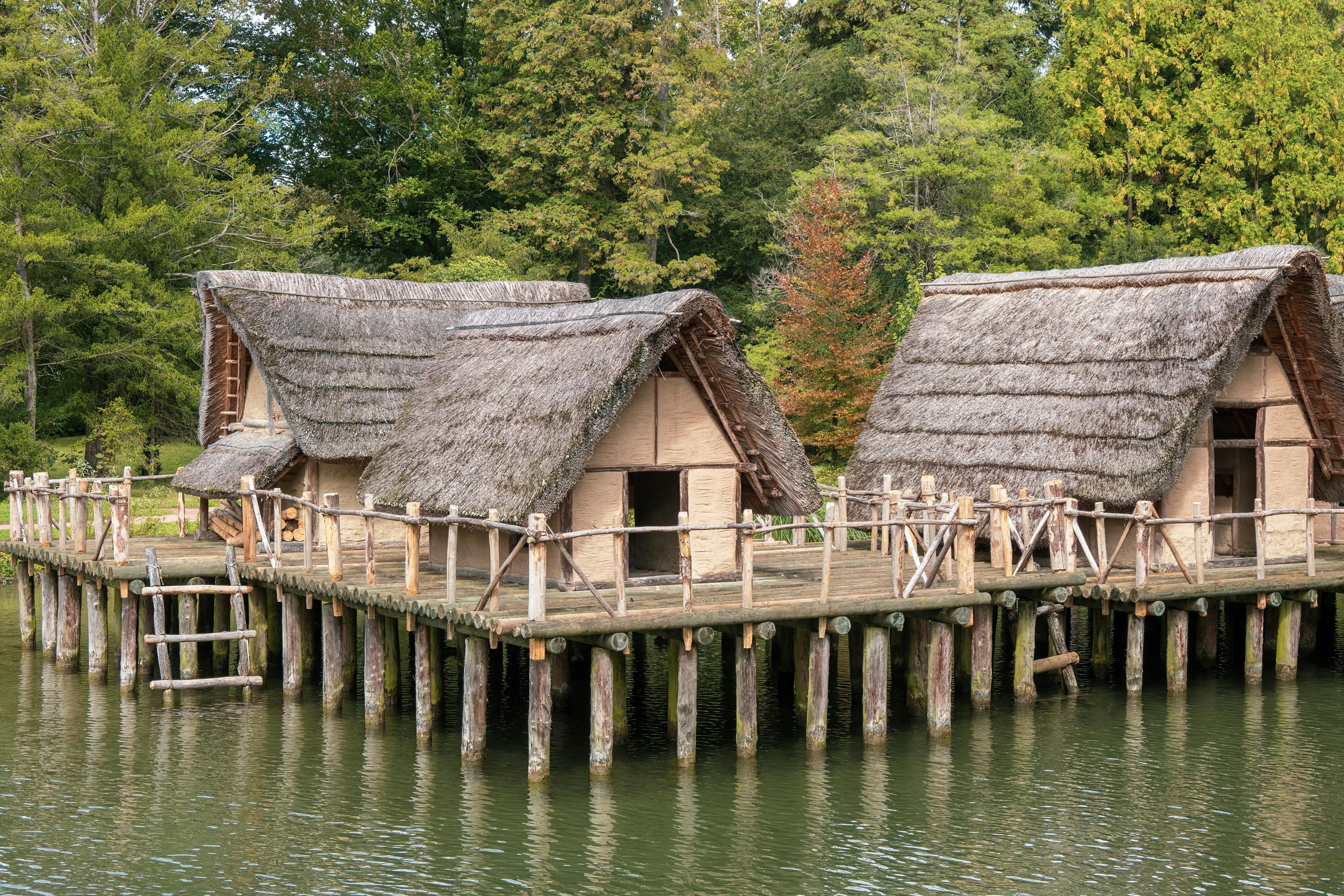 Casas Tradicionais De Madeira Sobre Palafitas à Beira Do Lago · Foto ...