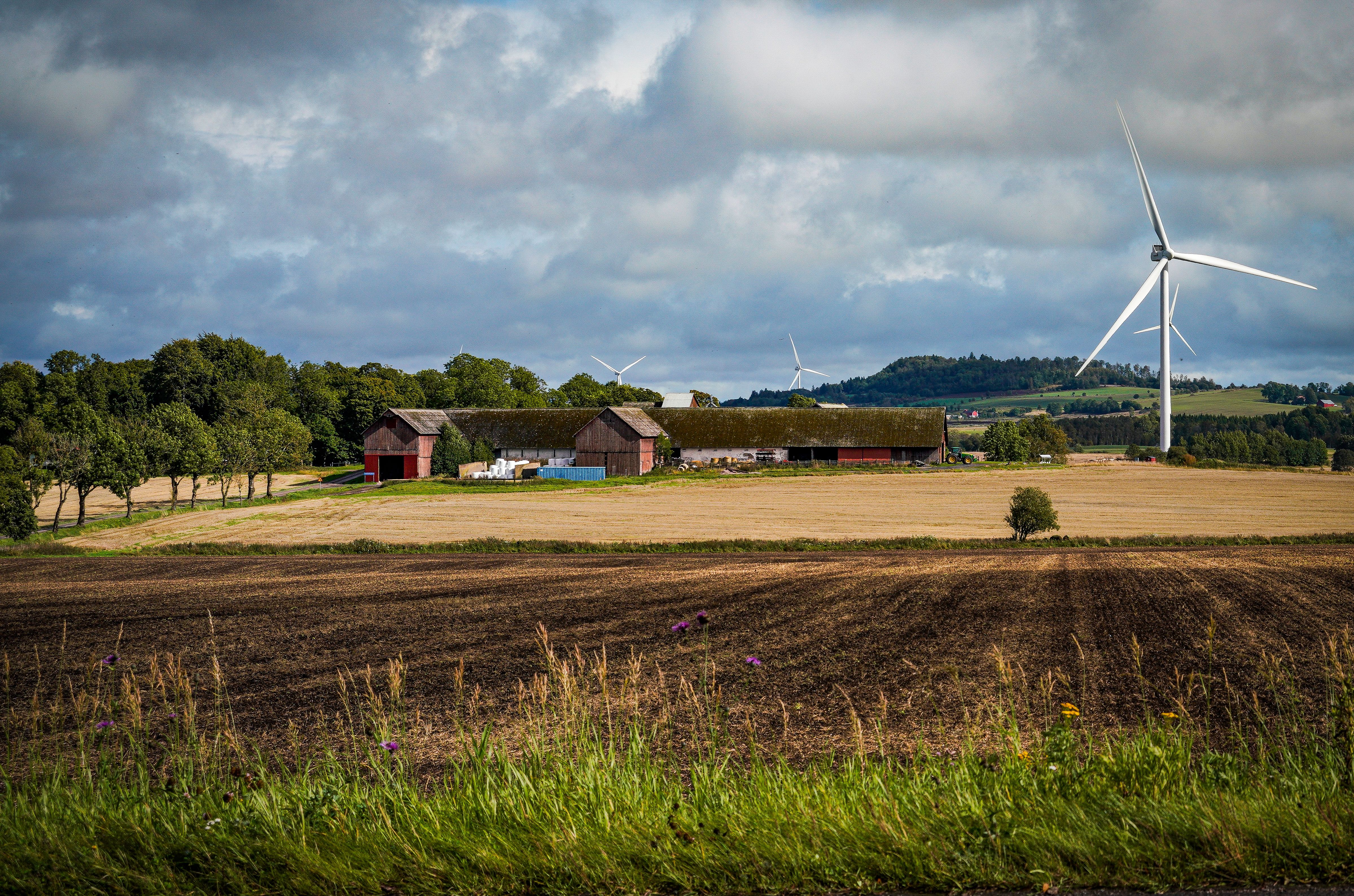 Rural Landscape with Barns and Wind Turbines · Free Stock Photo