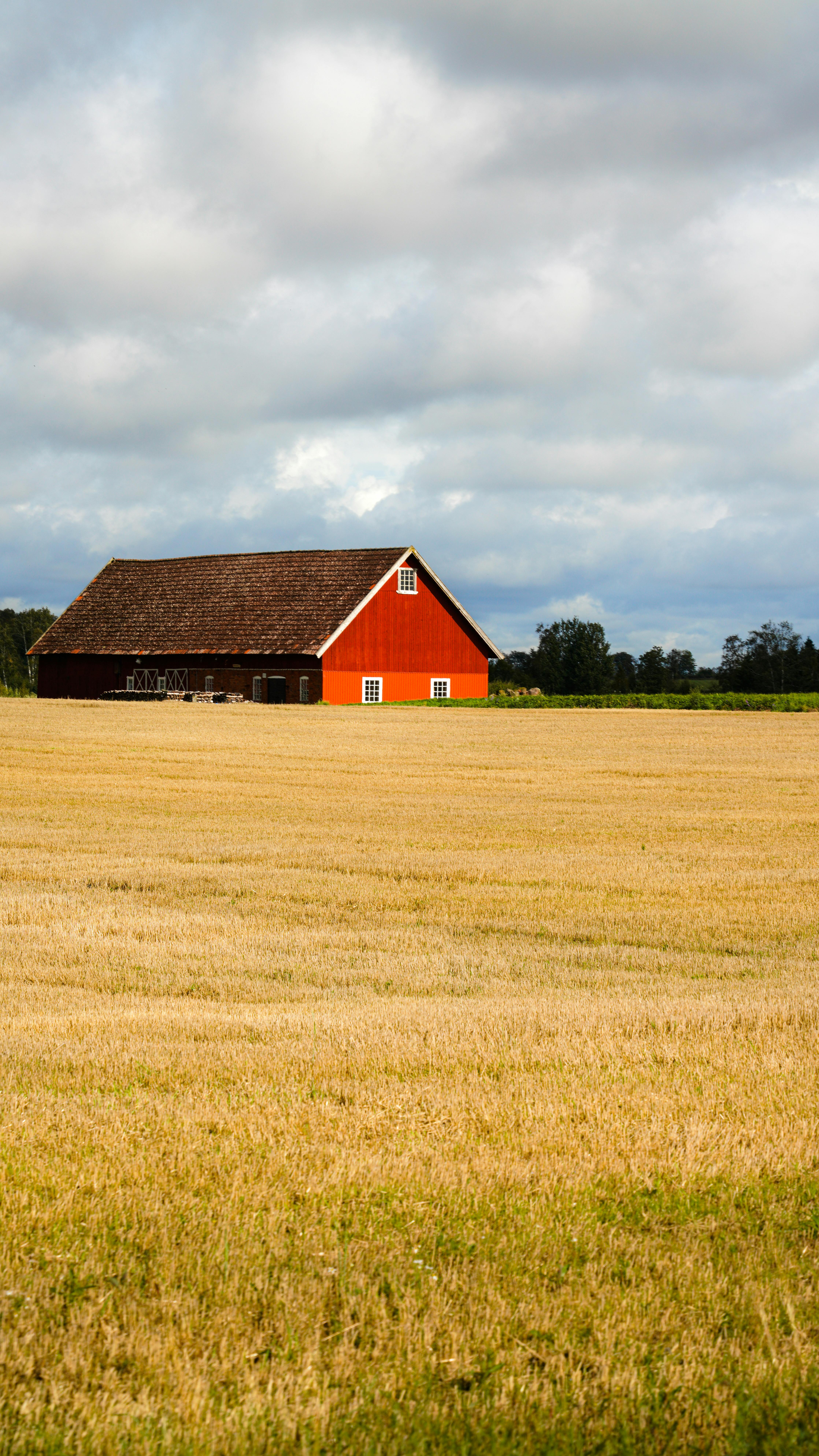 Ebony+Legs+Spread+Wide+Open Photos, Download The BEST Free Ebony+Legs ...