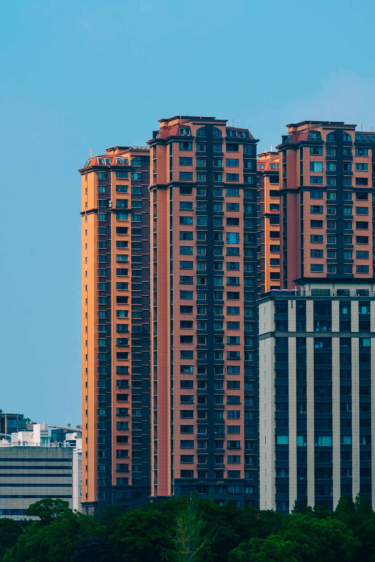 Tall Photos, Download The BEST Free Tall Stock Photos & HD Images