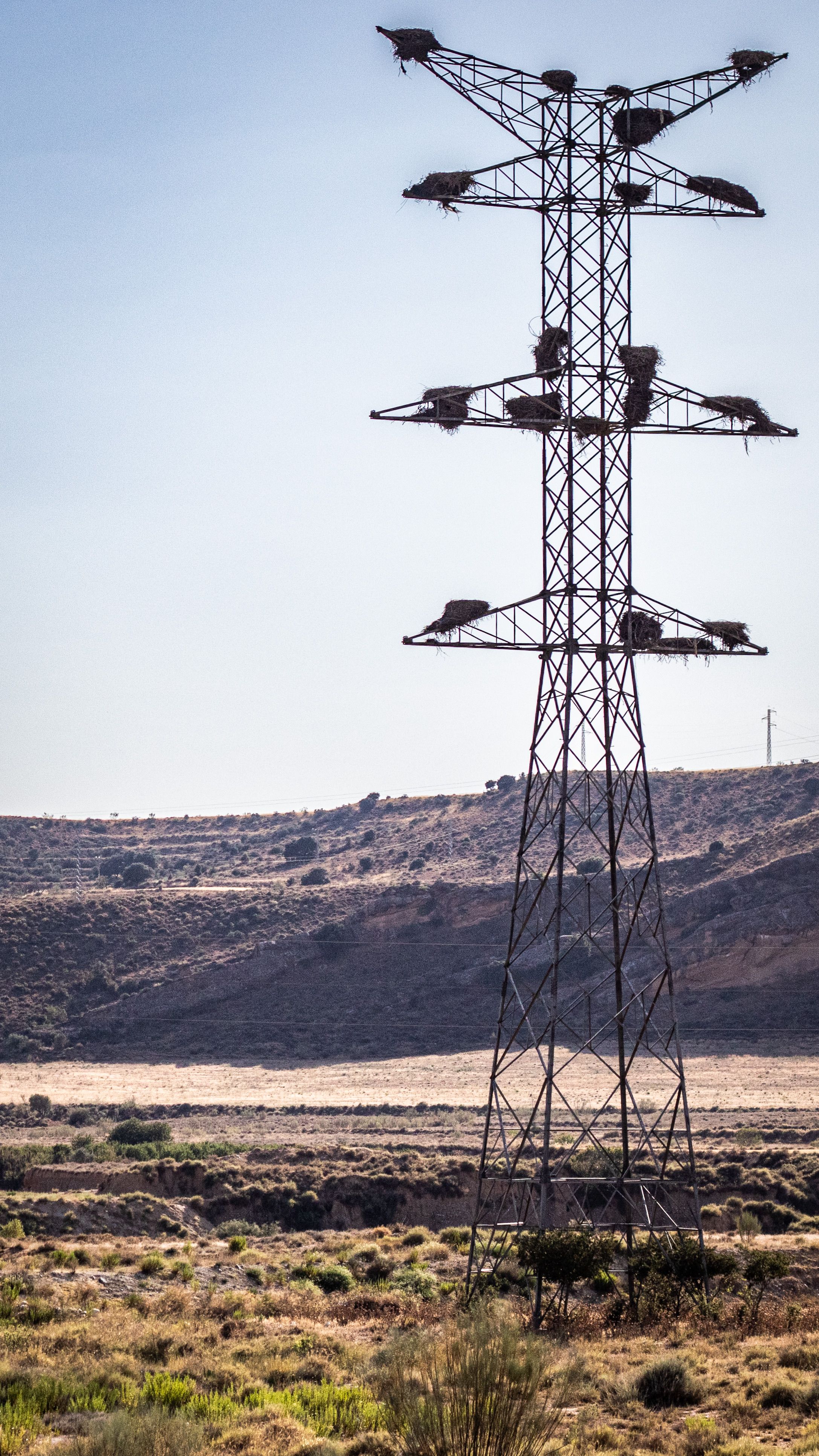 Power Outage Photos, Download The BEST Free Power Outage Stock Photos ...