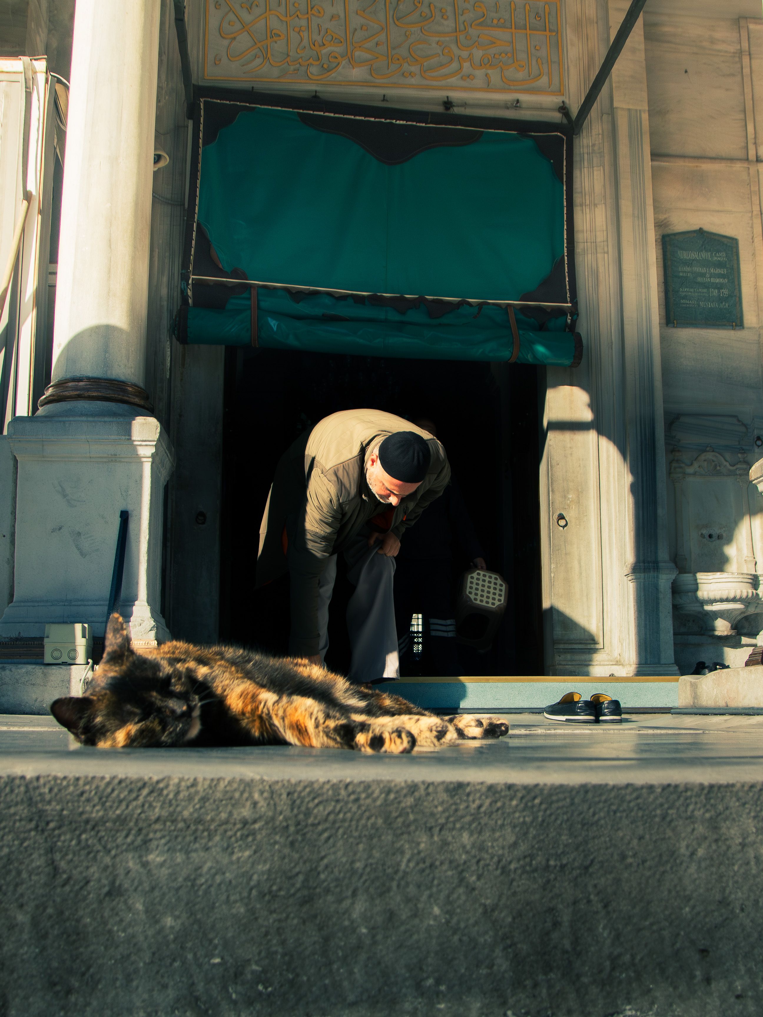 Cat Relaxing Outside Historic Mosque Entrance · Free Stock Photo