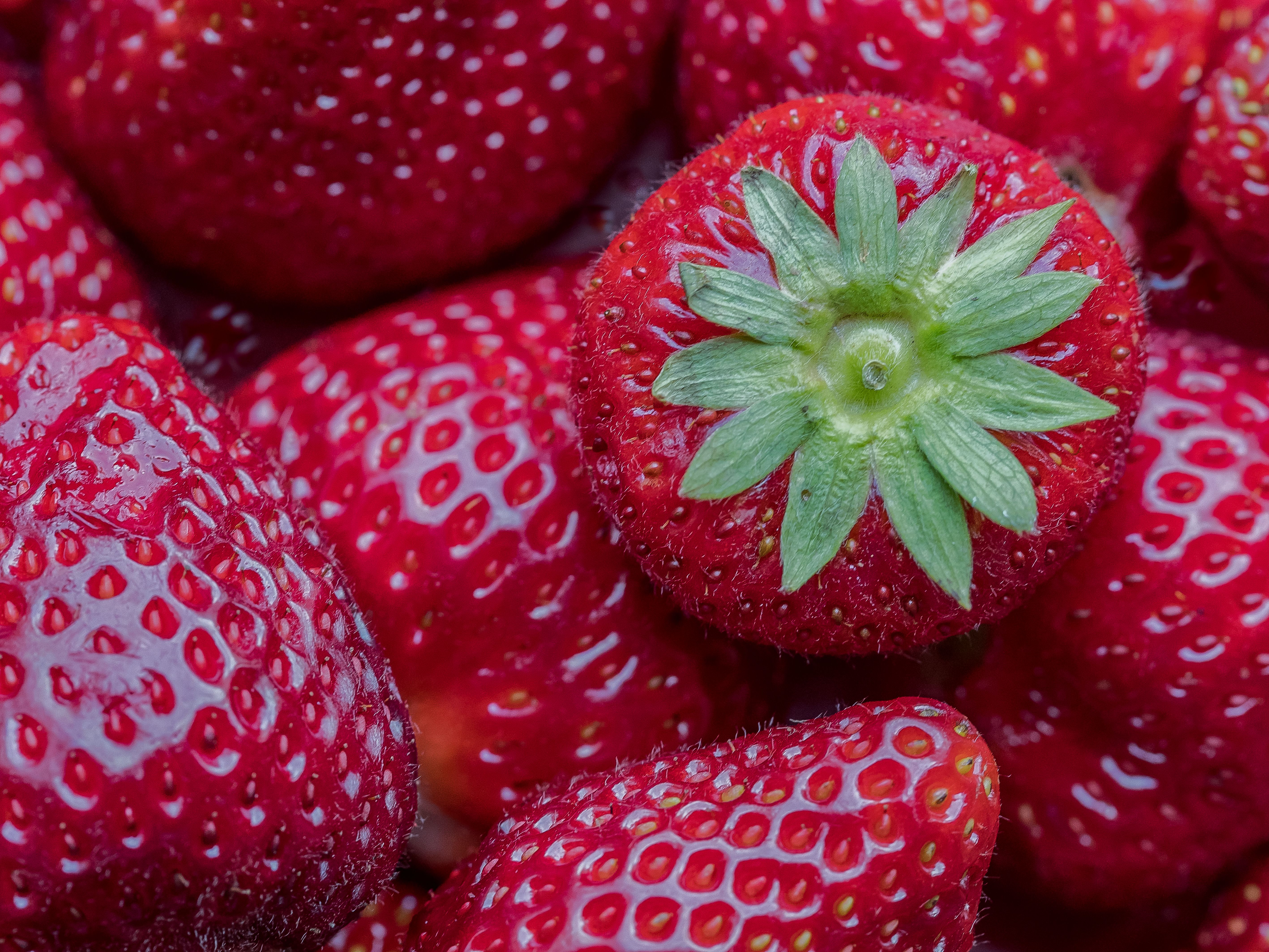 Close Up Of Large Clits Photos Download The Best Free Close Up Of