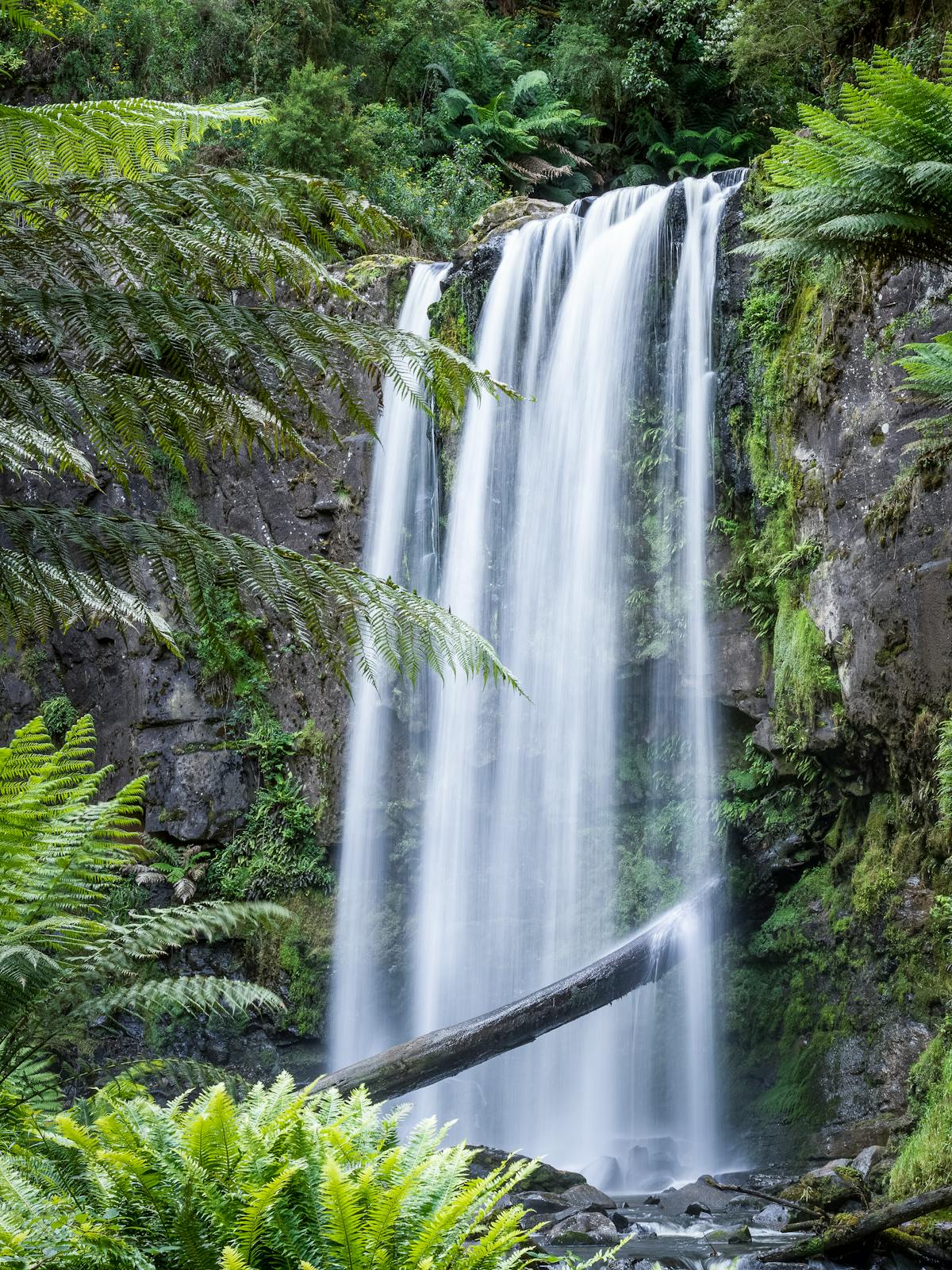 Rainforest Waterfall Photos, Download The BEST Free Rainforest ...