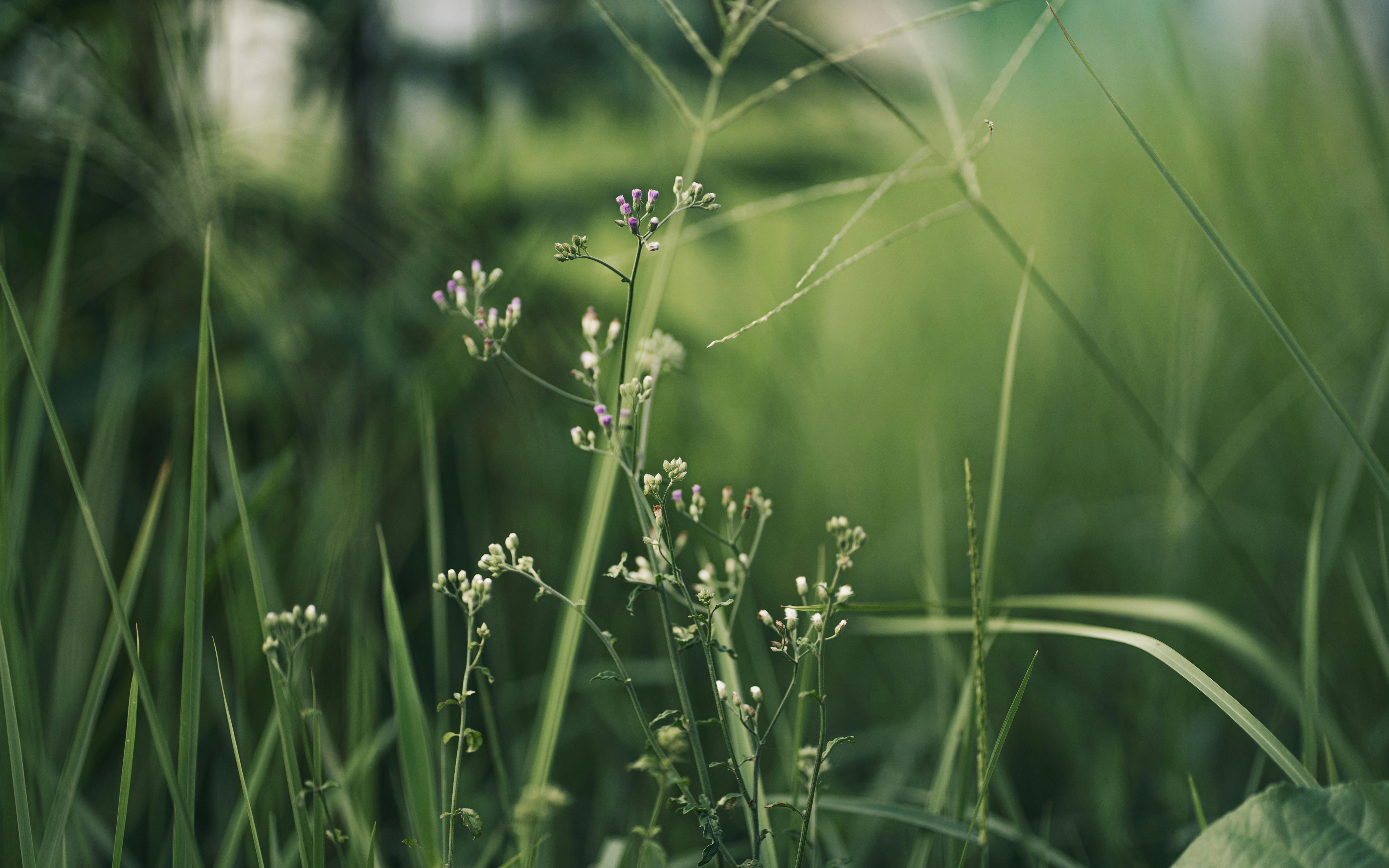 Aesthetic+Pfp+Girl Photos, Download The BEST Free Aesthetic+Pfp+Girl ...