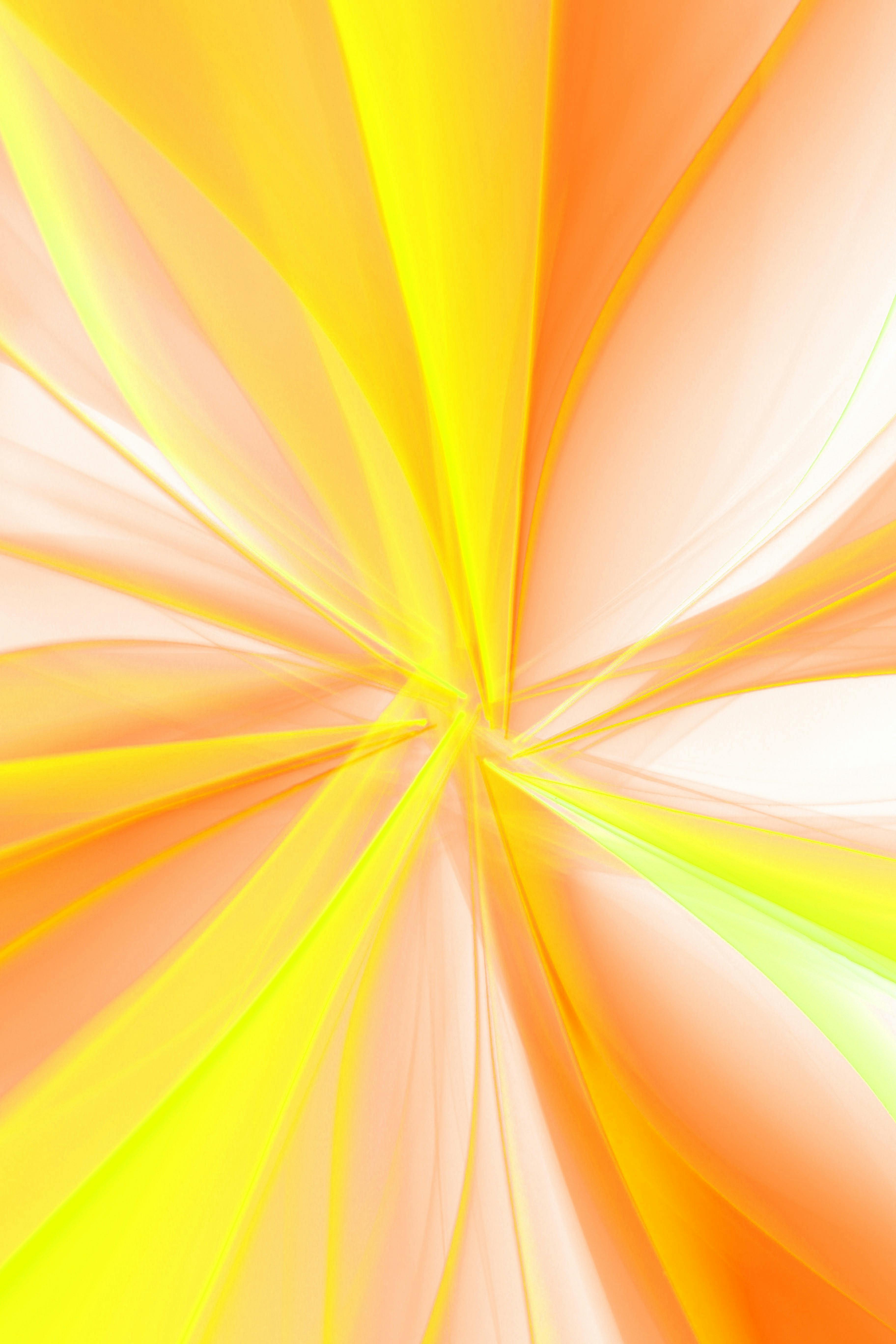 Raffle Background Photos, Download The BEST Free Raffle Background ...