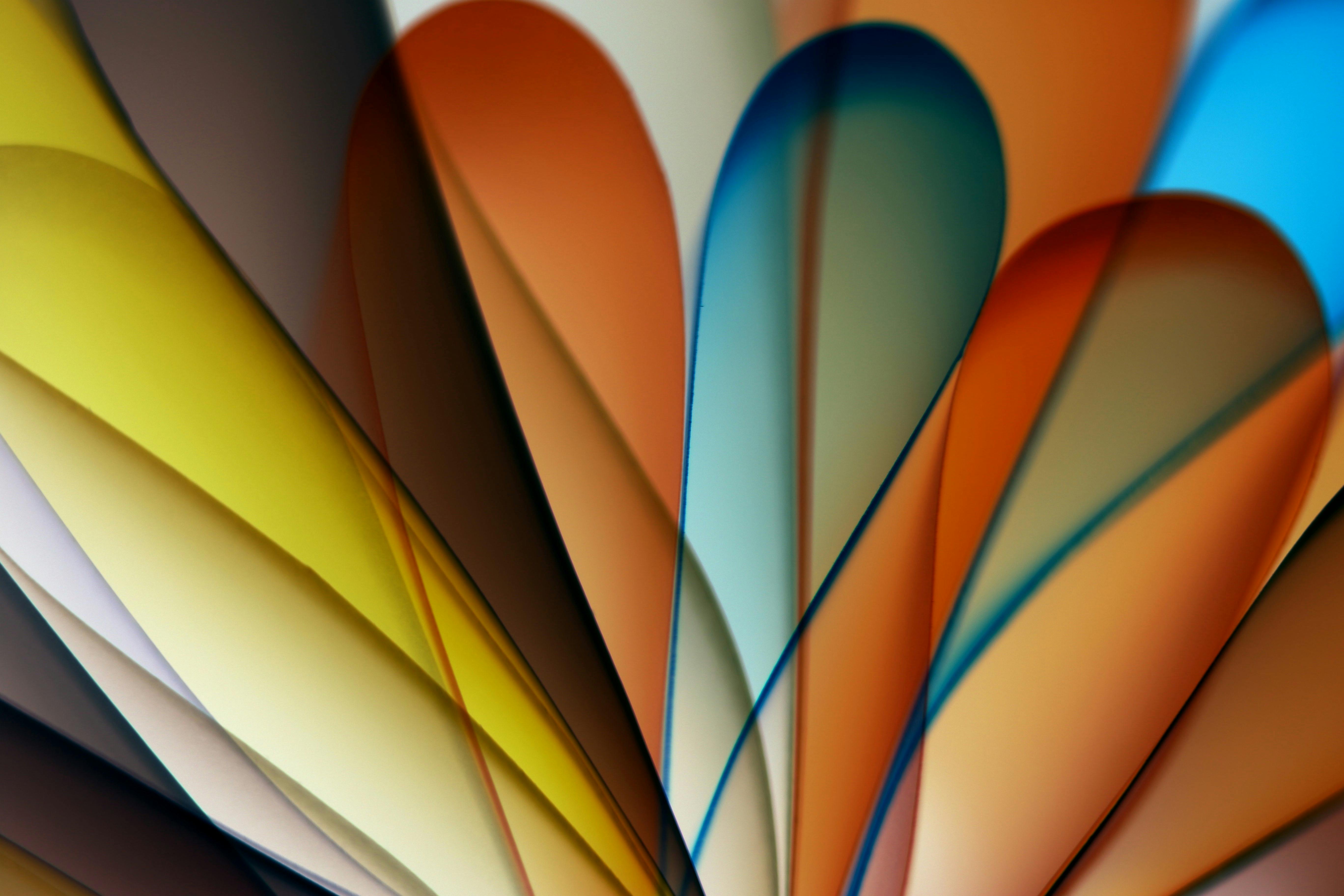 곡선 관념적인 구 아라 투바 구성 그래픽 그래픽 디자인 남아메리카 다이나믹한 다채로운 대칭 디자인 디자인 요소 멀티 컬러 모양 미적 디자인 바탕