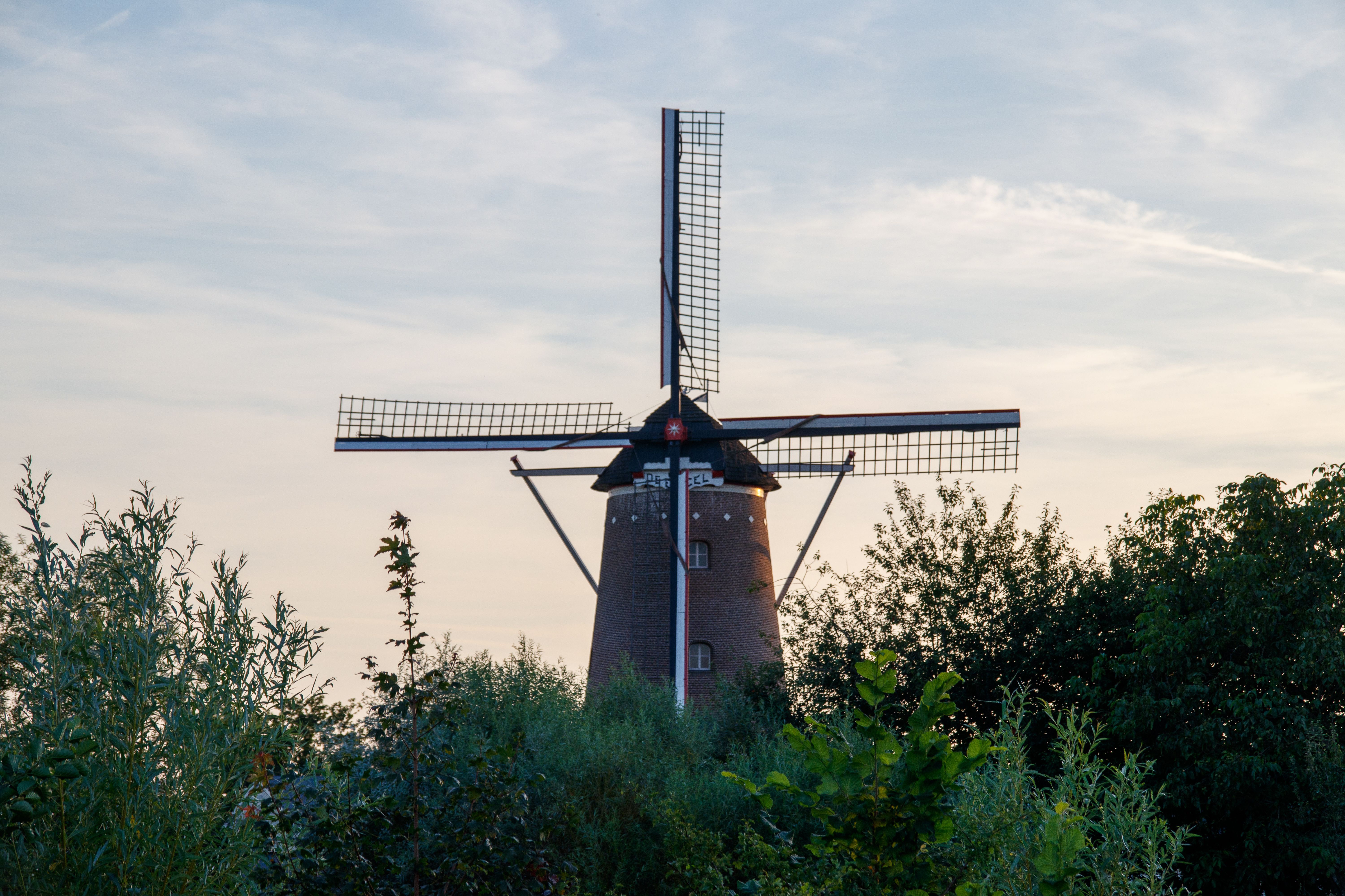 Vintage Windmill Amidst Lush Greenery · Free Stock Photo