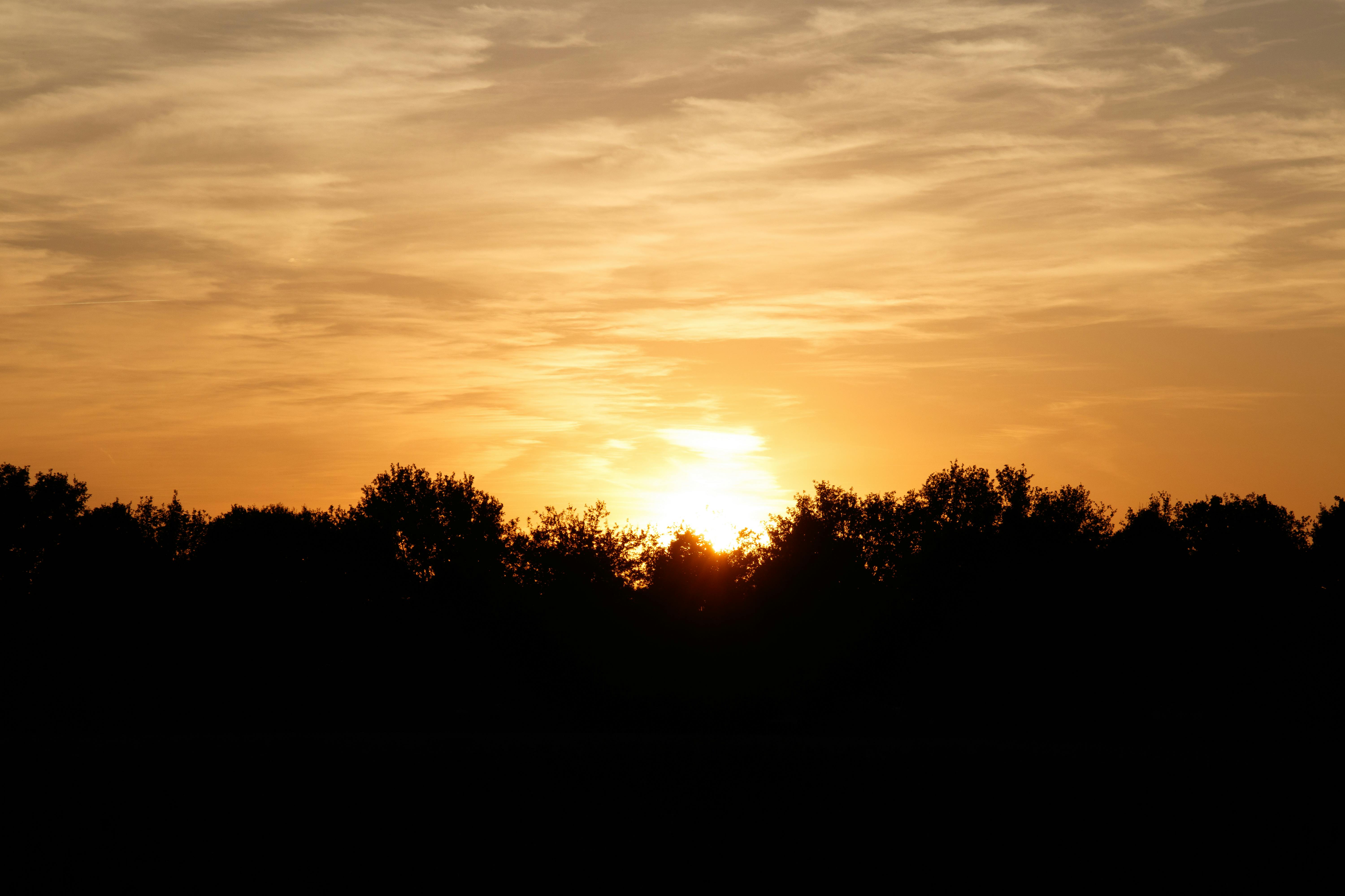 Evening Sun Photos, Download The BEST Free Evening Sun Stock Photos ...