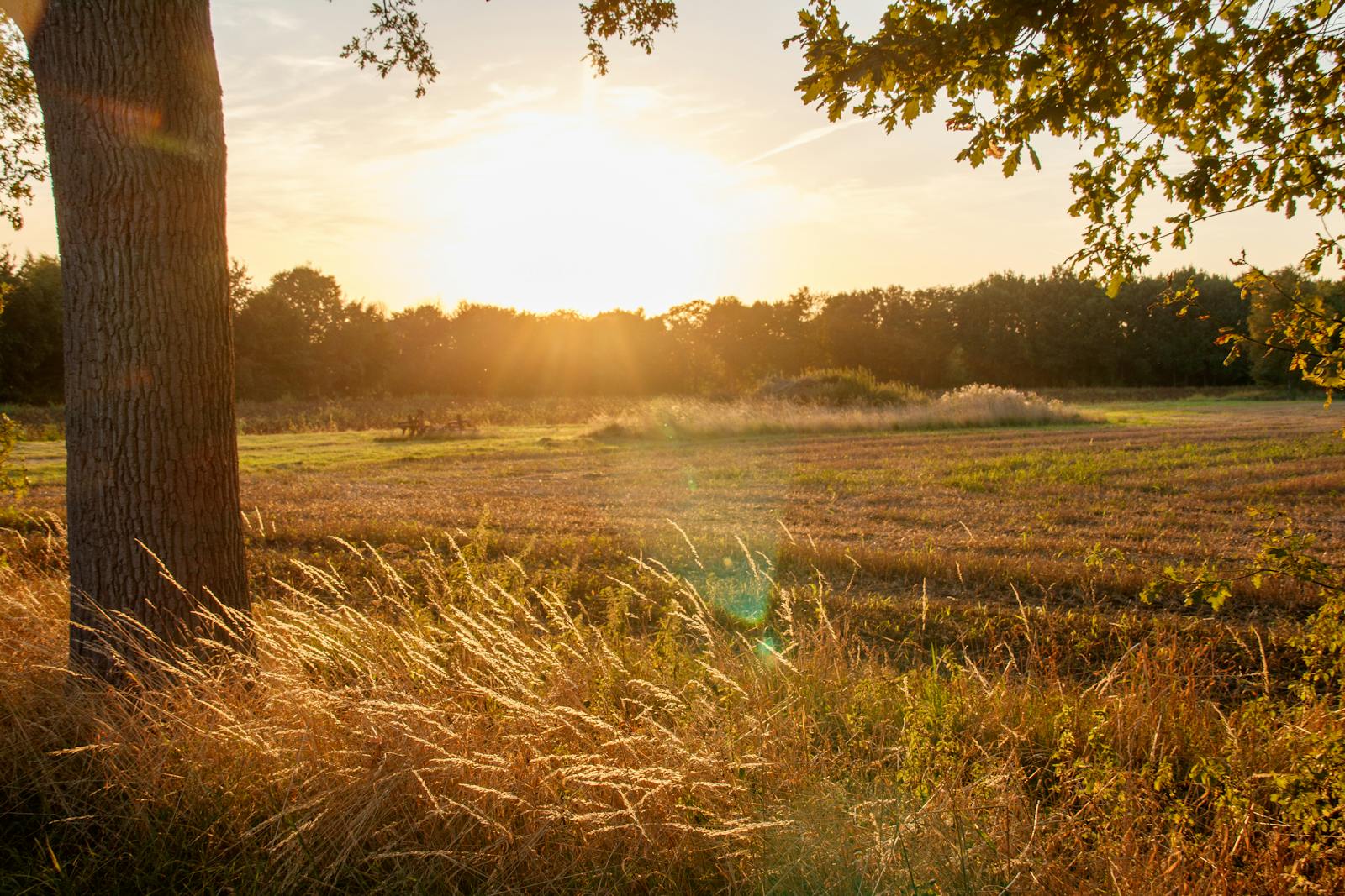 Sunset Jpg Photos, Download The BEST Free Sunset Jpg Stock Photos & HD ...