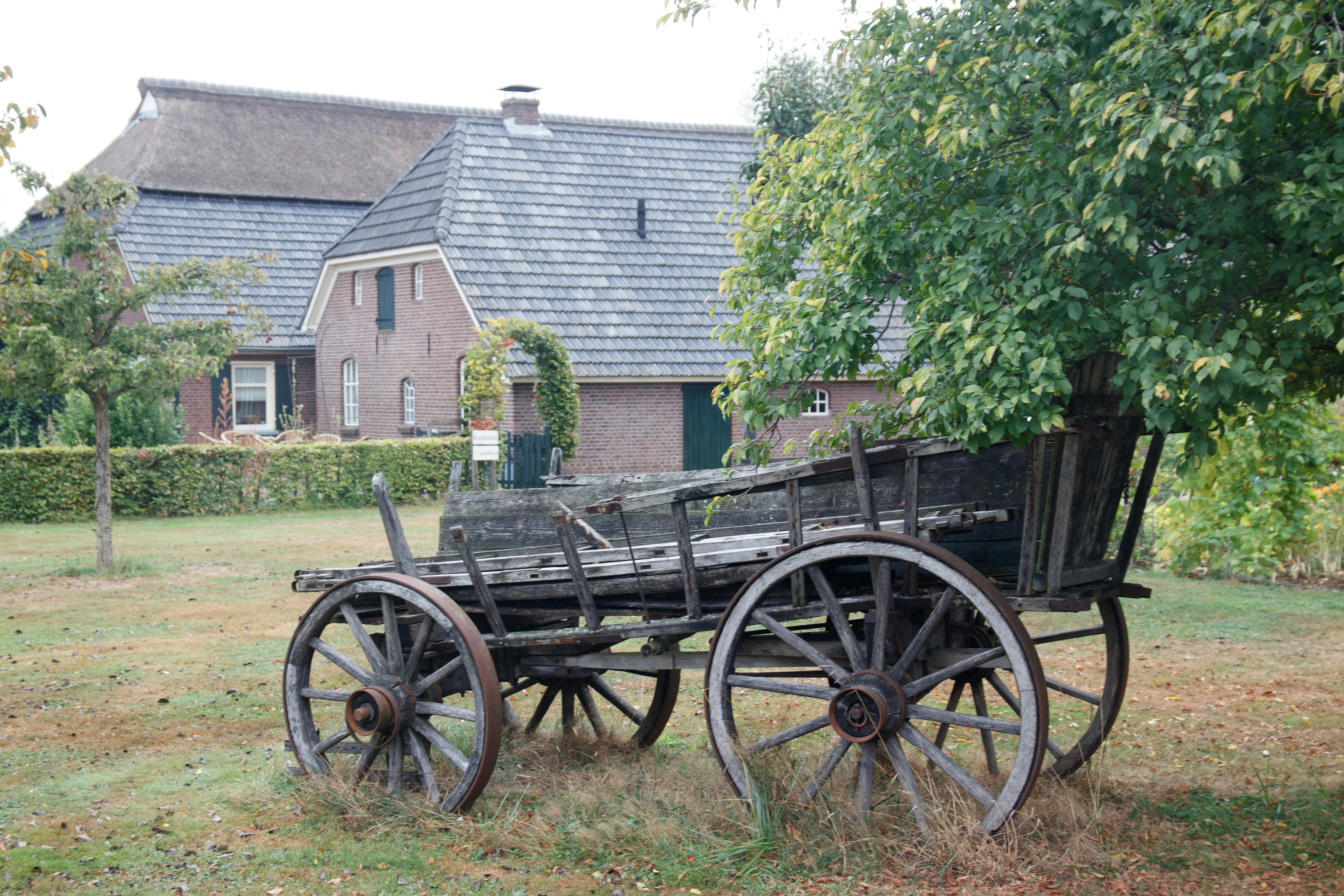 Free+Fire+Live+Stream+Thumbnail Photos, Download The BEST Free Free ...