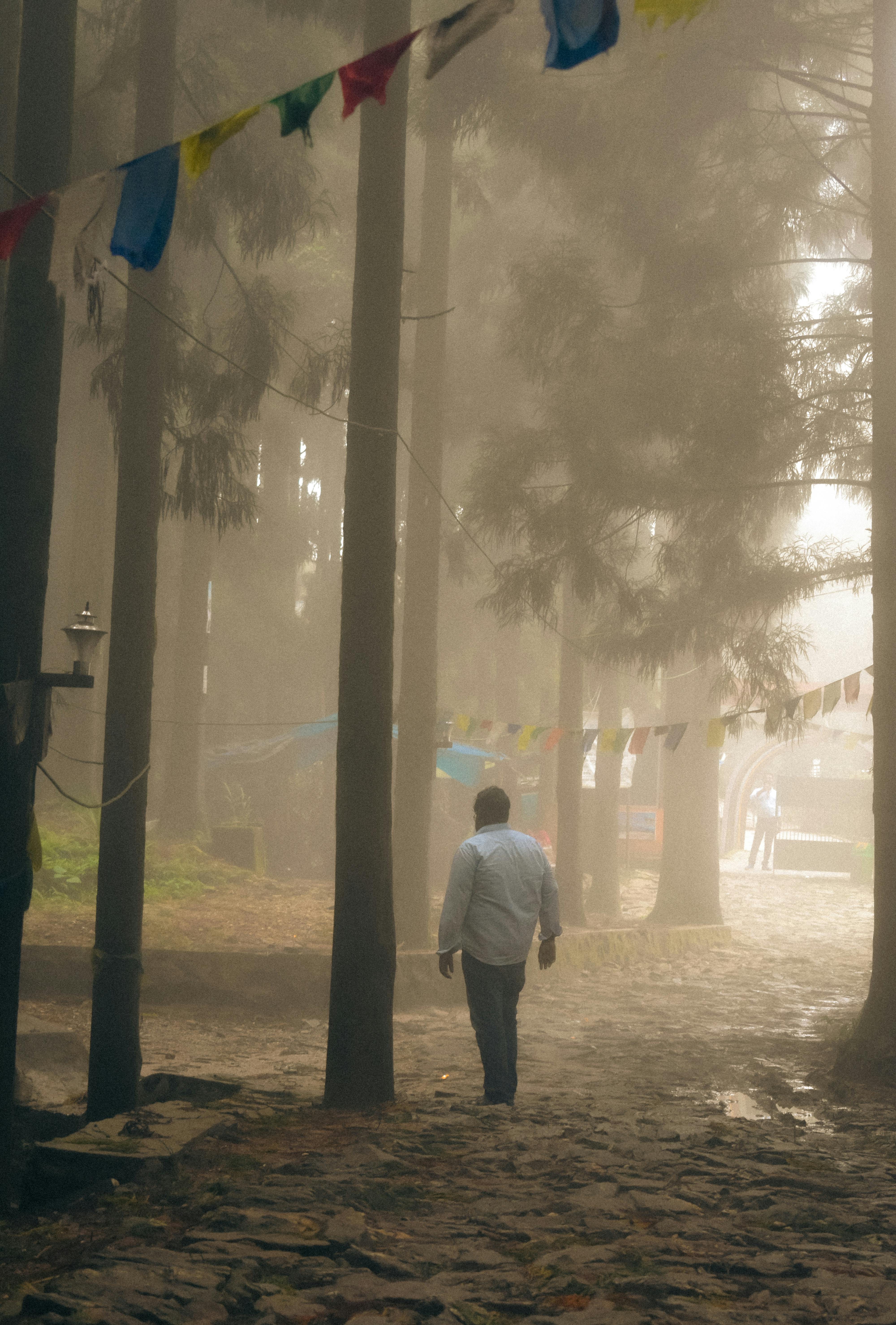 Jandel+Avatar+Wallpaper+Pc Photos, Download The BEST Free Jandel+Avatar ...