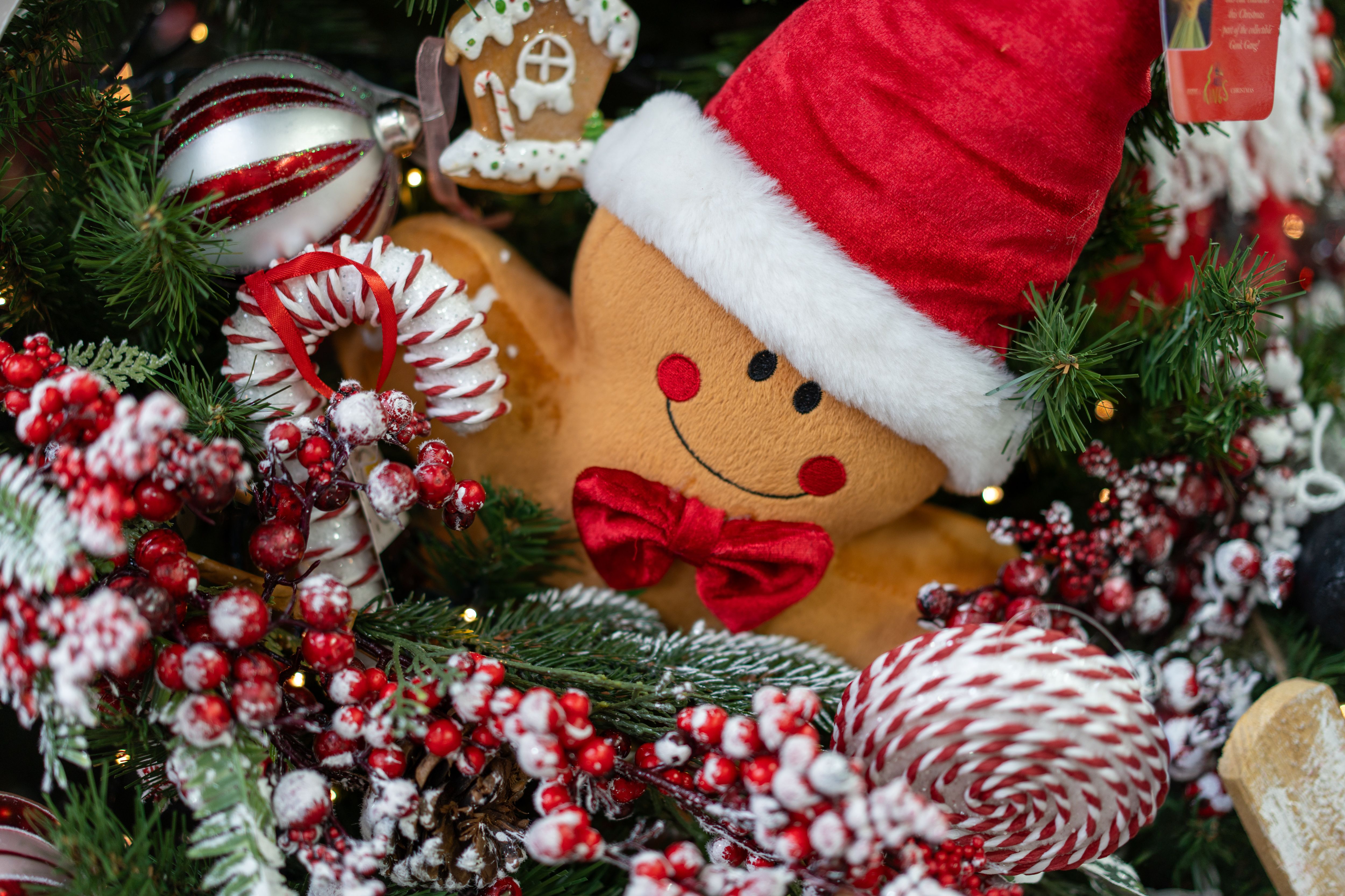 Festive Season Photos, Download The BEST Free Festive Season Stock ...