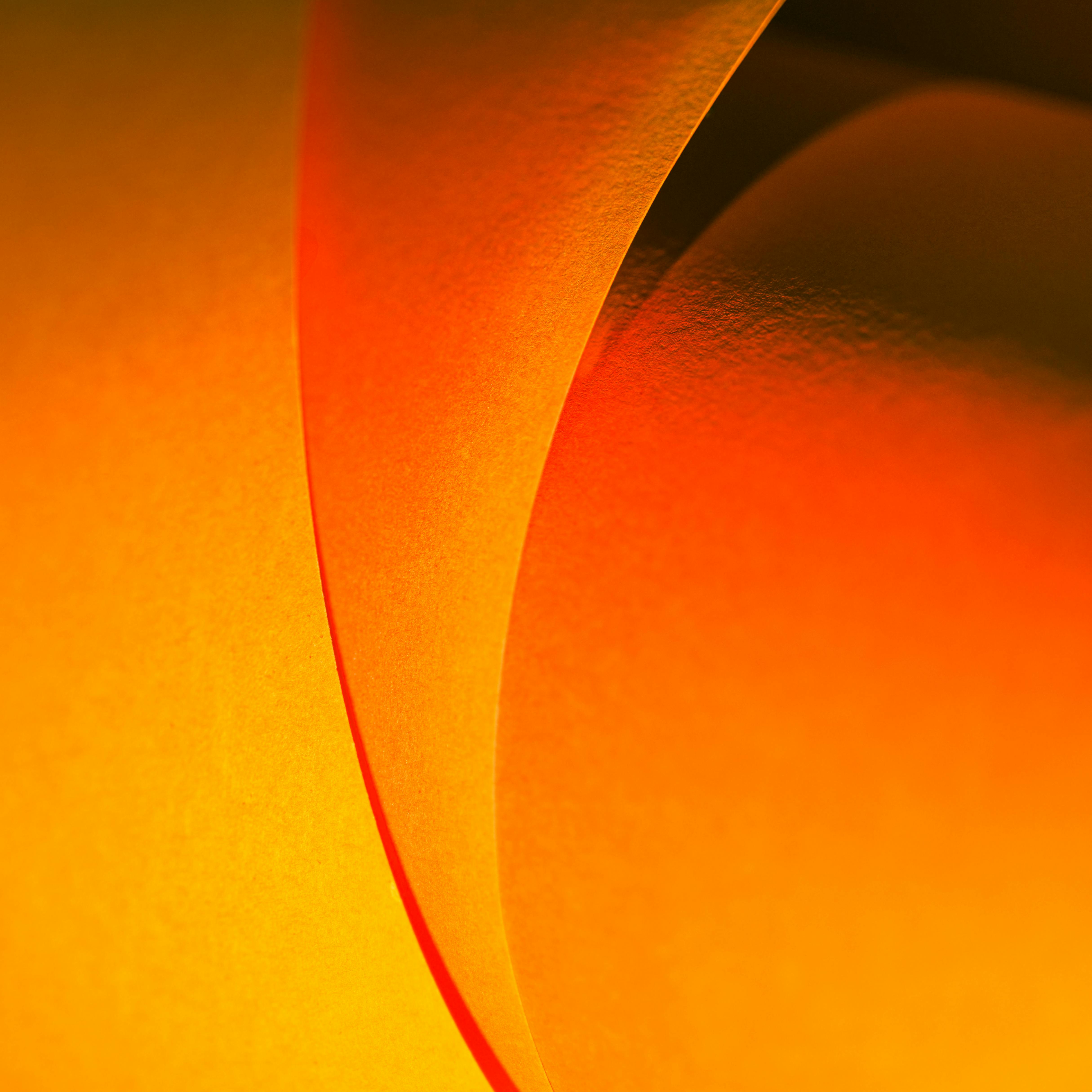 Orange Color Pfp Photos, Download The BEST Free Orange Color Pfp Stock ...