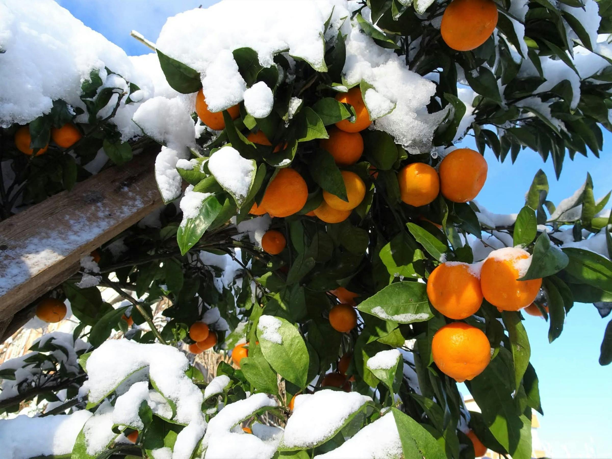 Cold Football Photos, Download The BEST Free Cold Football Stock Photos ...