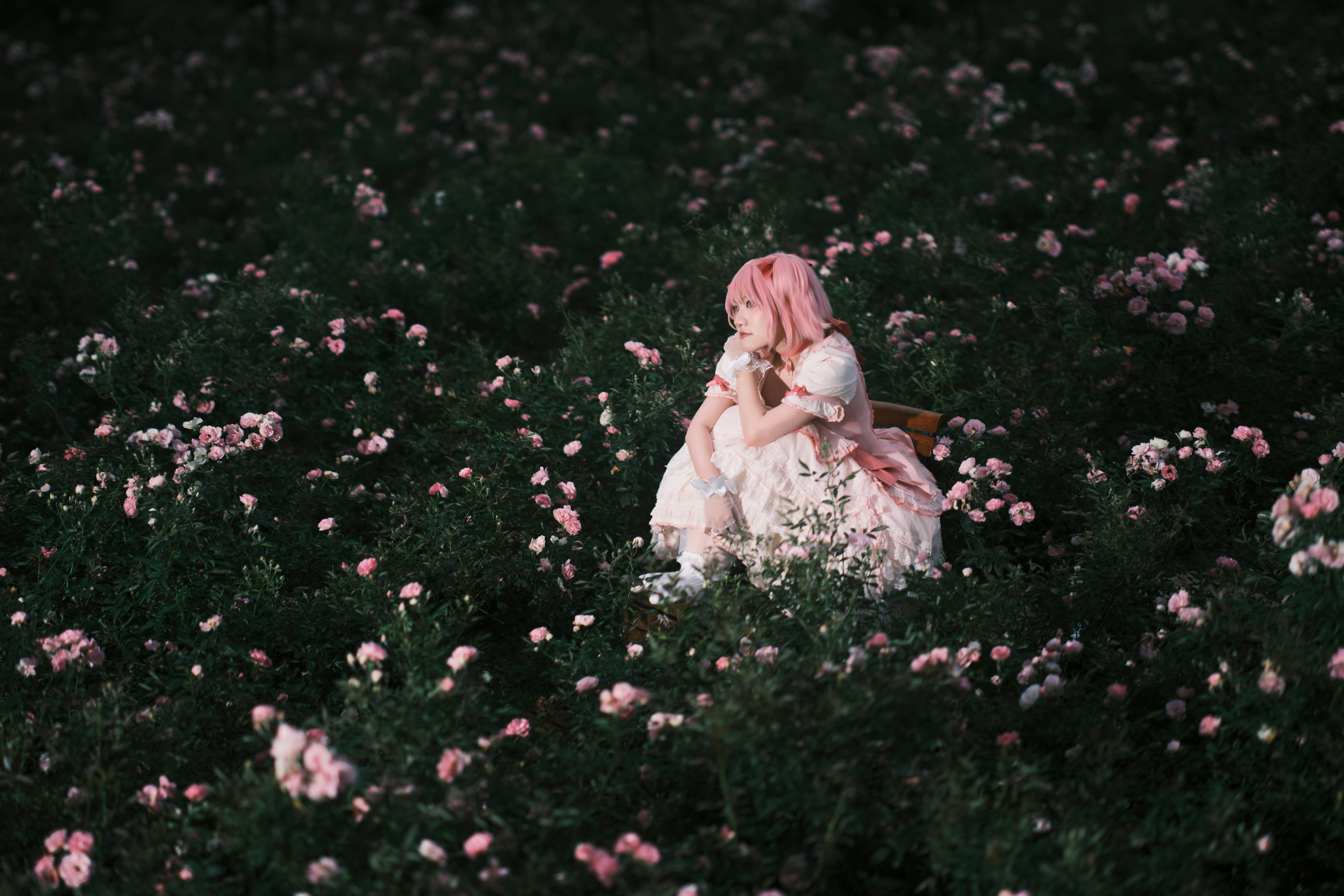 Girl Aesthetic Pfp Photos, Download The BEST Free Girl Aesthetic Pfp ...