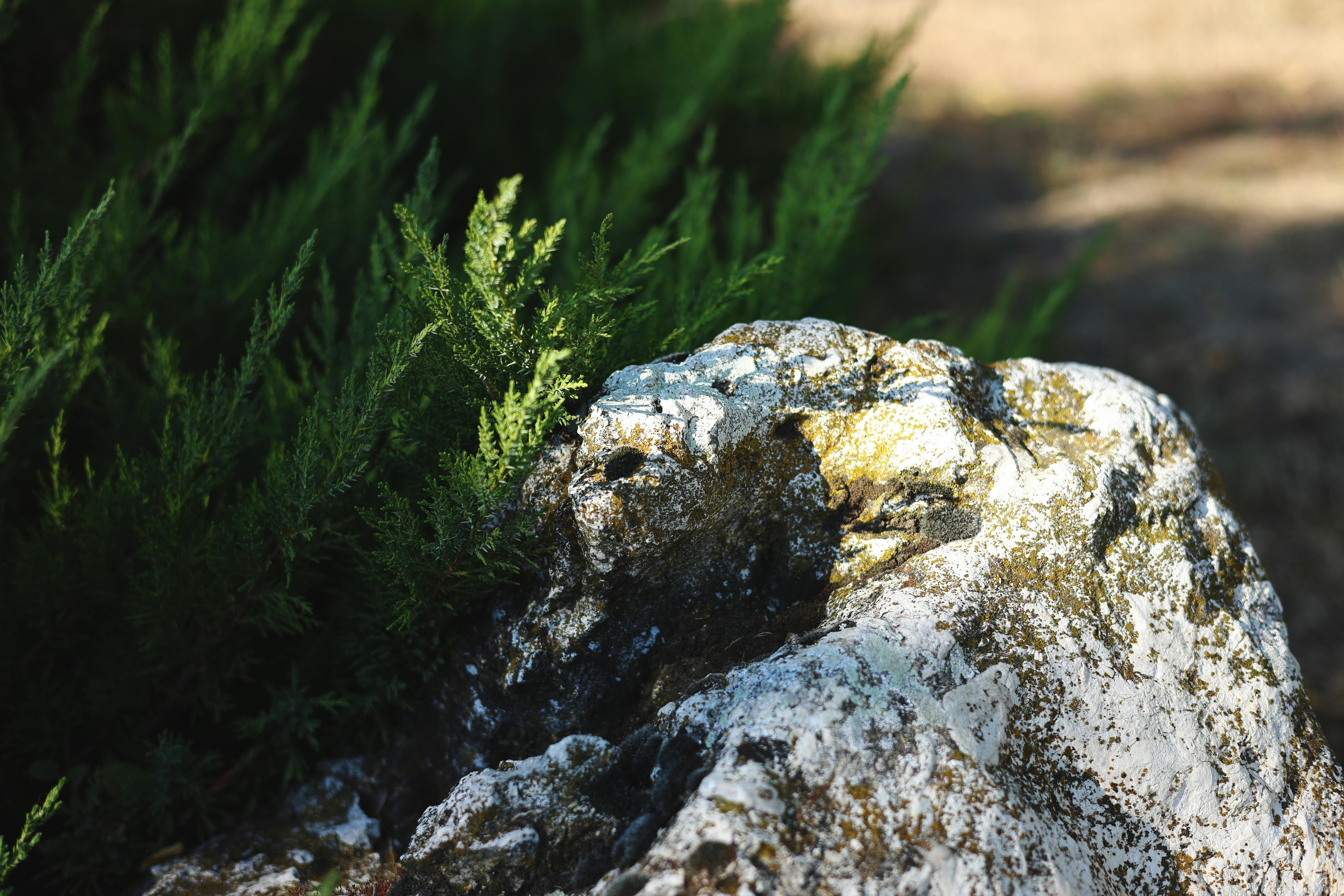 Slow+Reverse+Cowgirl+4k Photos, Download The BEST Free Slow+Reverse ...