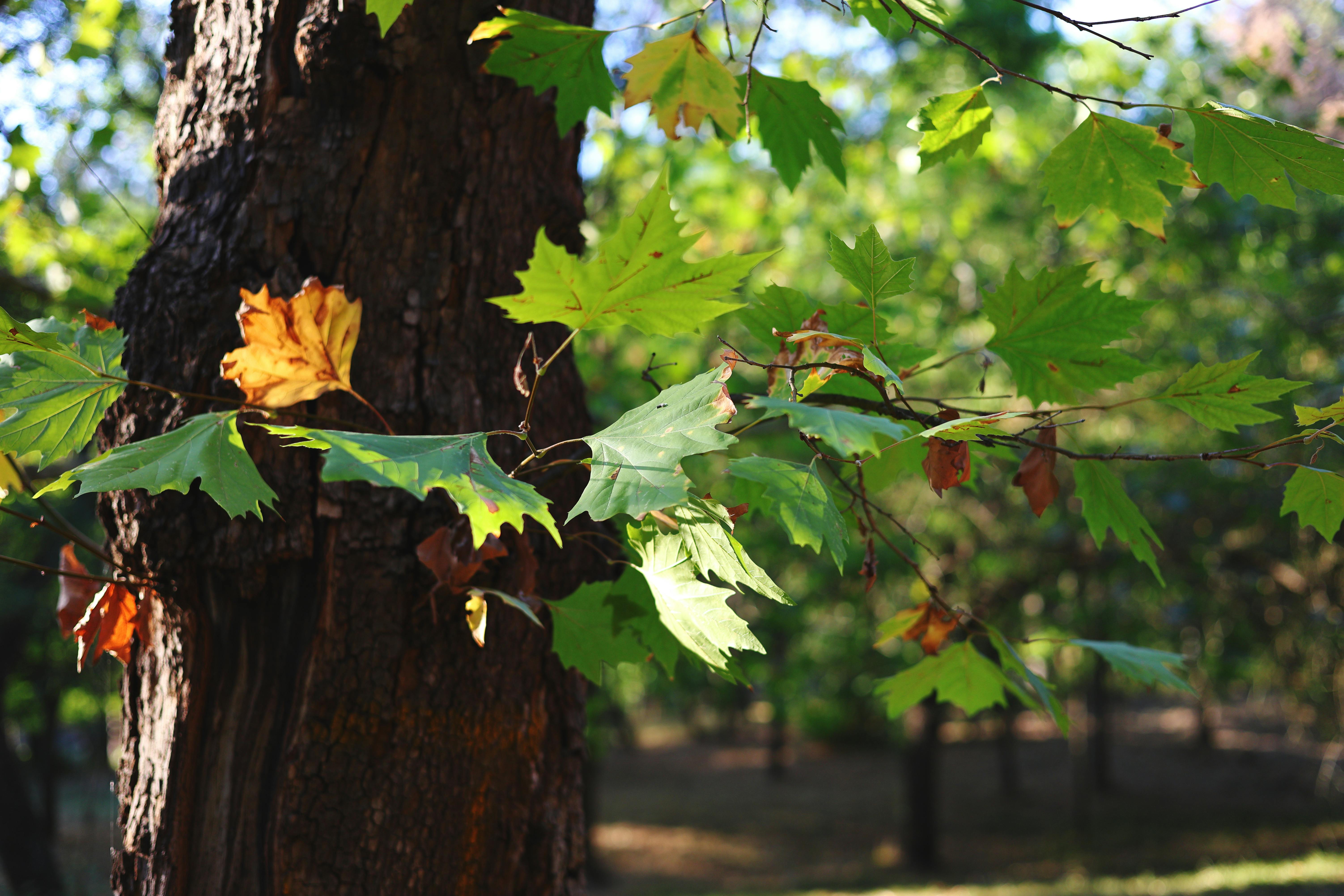 Slow+Reverse+Cowgirl+4k Photos, Download The BEST Free Slow+Reverse ...