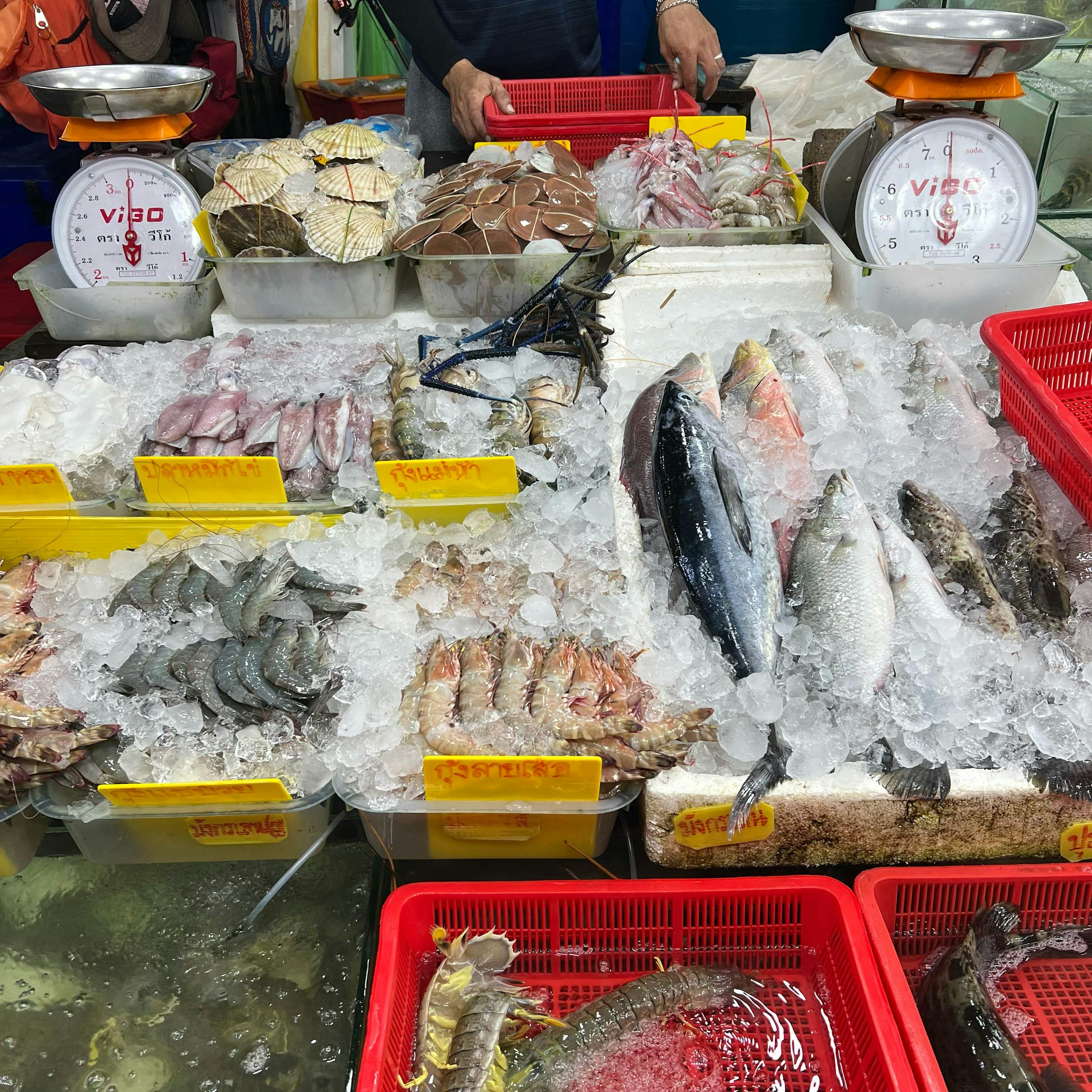 Halibut Fish Photos, Download The BEST Free Halibut Fish Stock Photos ...