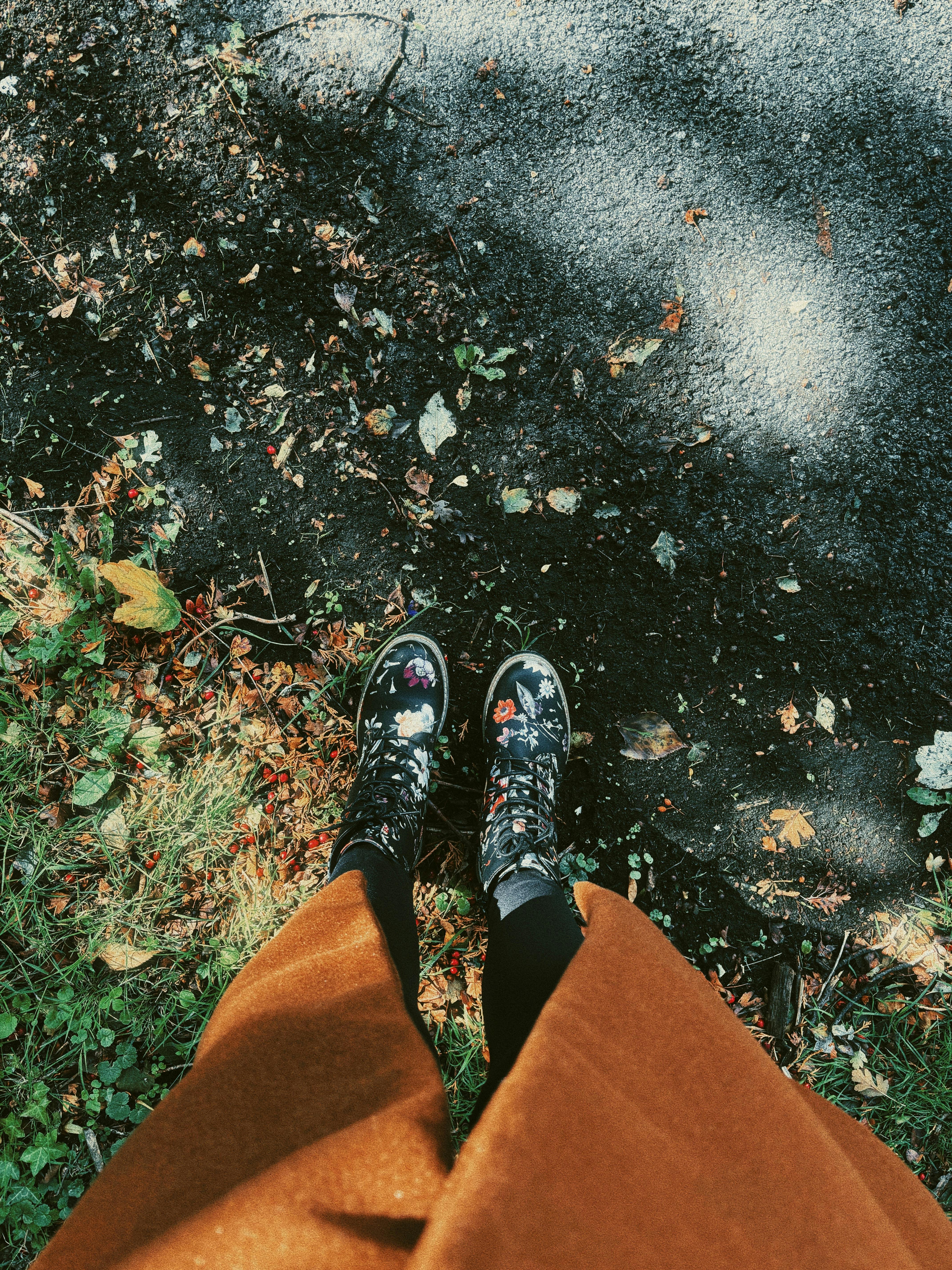 Image+Of+Human+Male+Testicles Photos, Download The BEST Free Image+Of ...