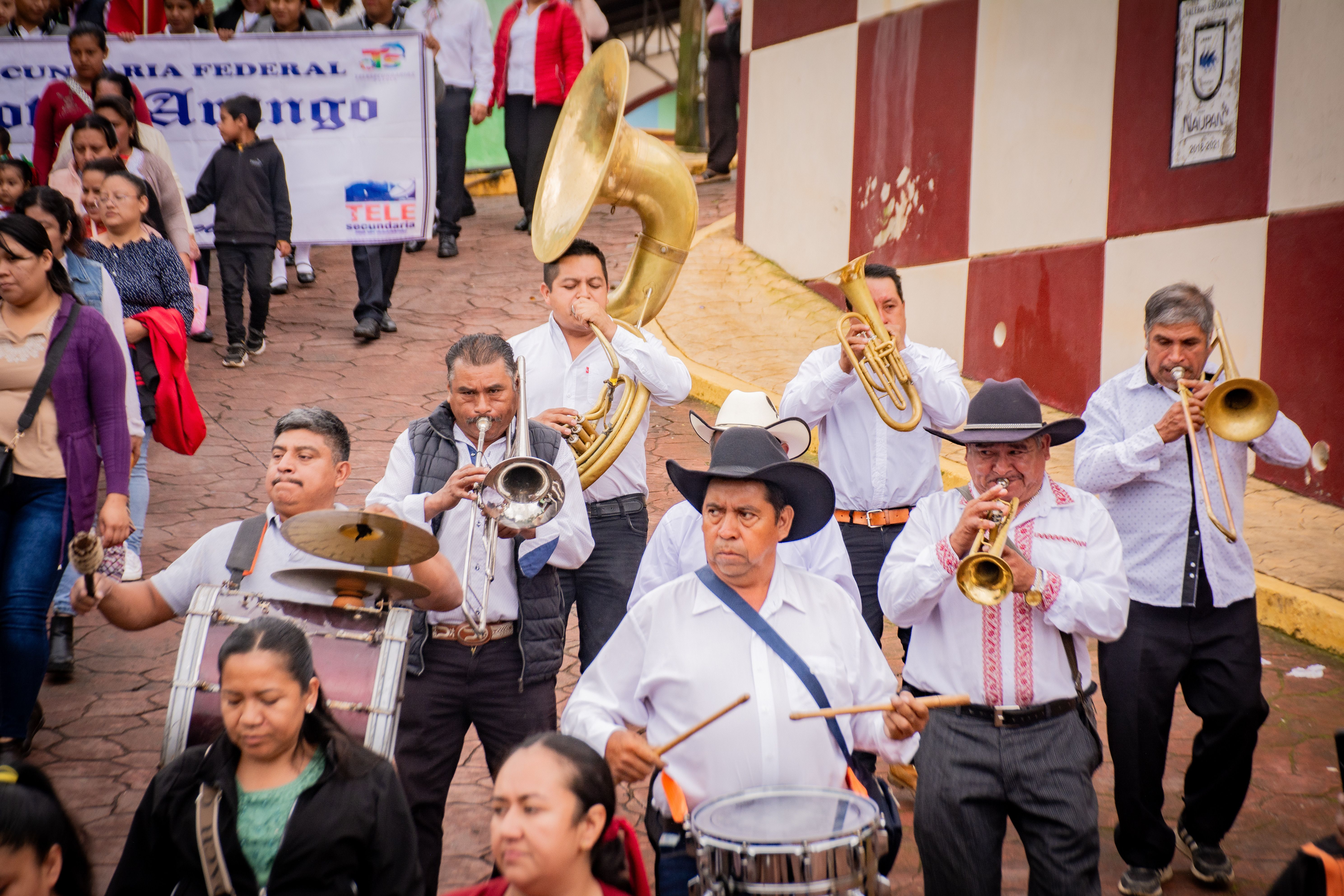 Trumpet Photos, Download The BEST Free Trumpet Stock Photos & HD Images