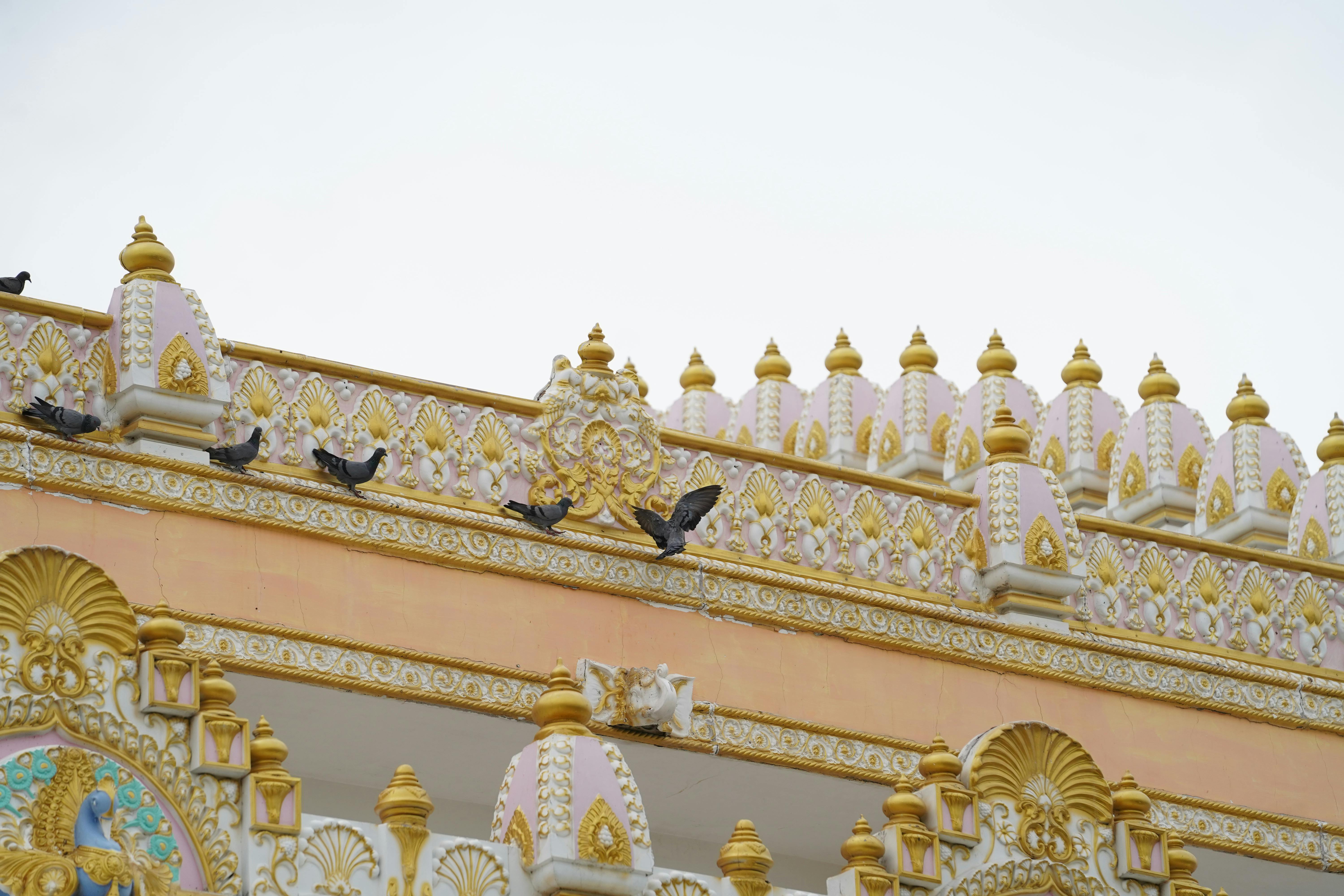 Slow+Reverse+Cowgirl+4k Photos, Download The BEST Free Slow+Reverse ...