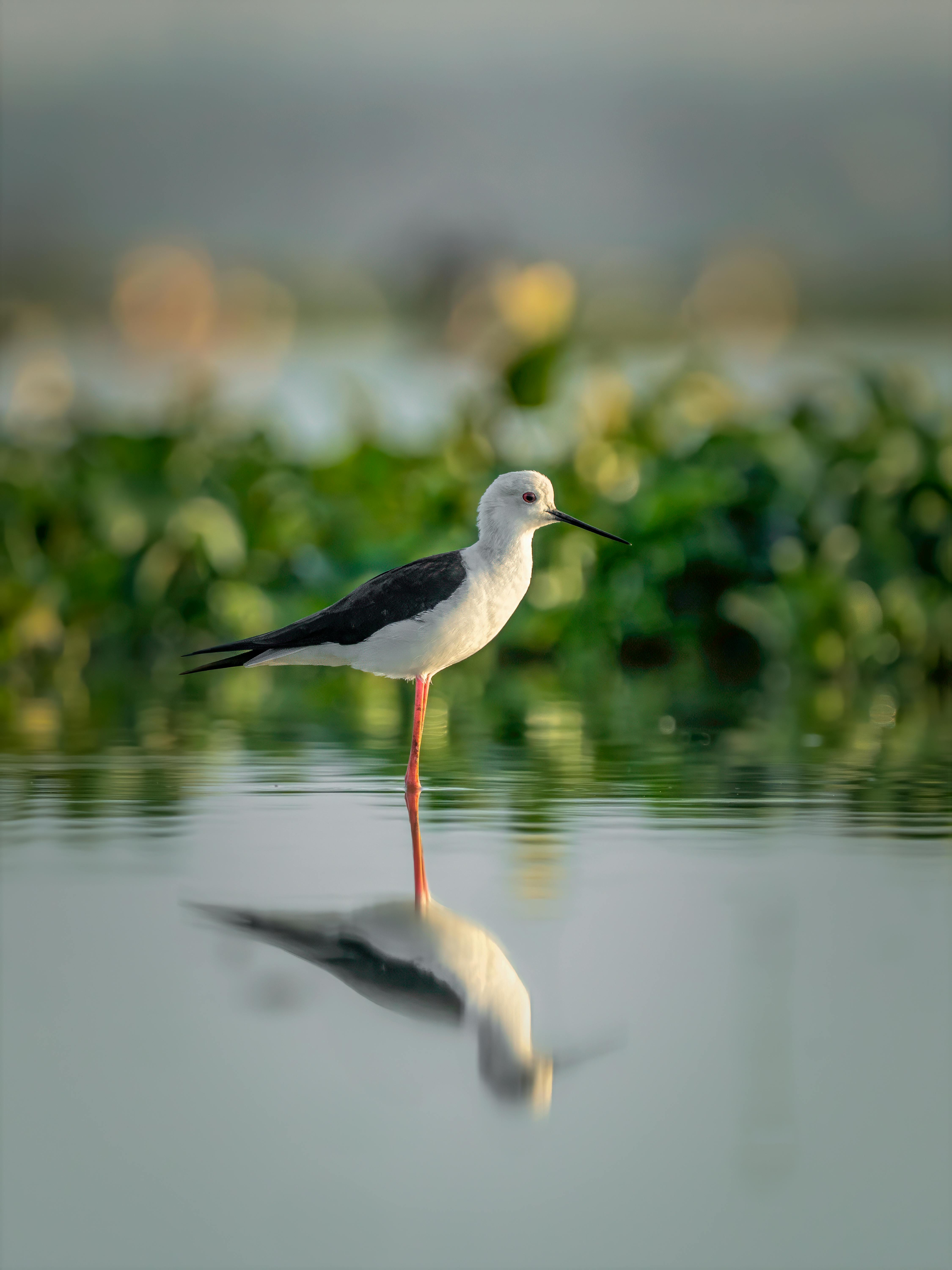 700,000+ ภาพถ่าย รูปทะเลการ์ตูน ที่ดีที่สุด · ดาวน์โหลดฟรี 100% ...