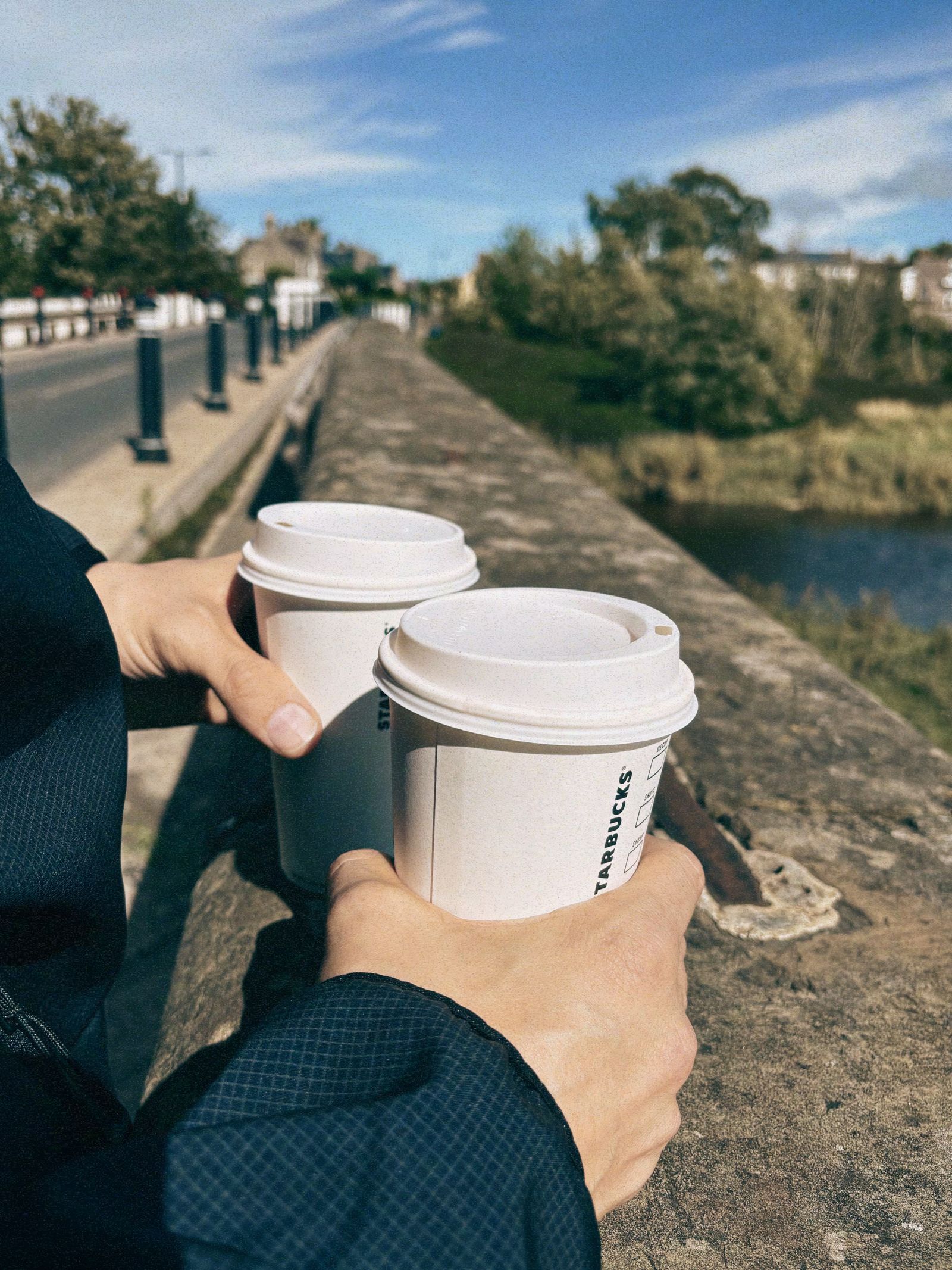 Cups Photos, Download The BEST Free Cups Stock Photos & HD Images