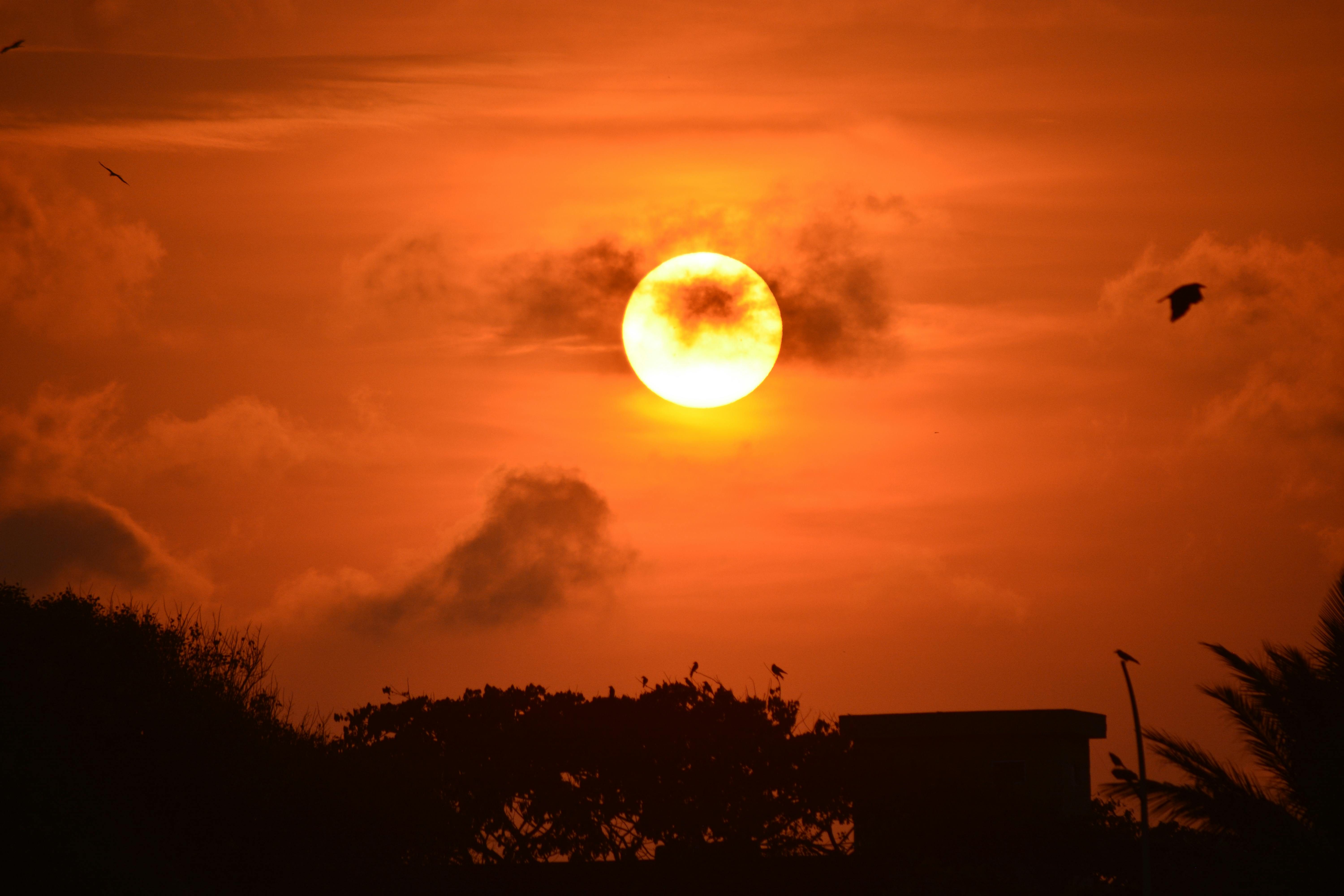 Evening Sun Photos, Download The BEST Free Evening Sun Stock Photos ...