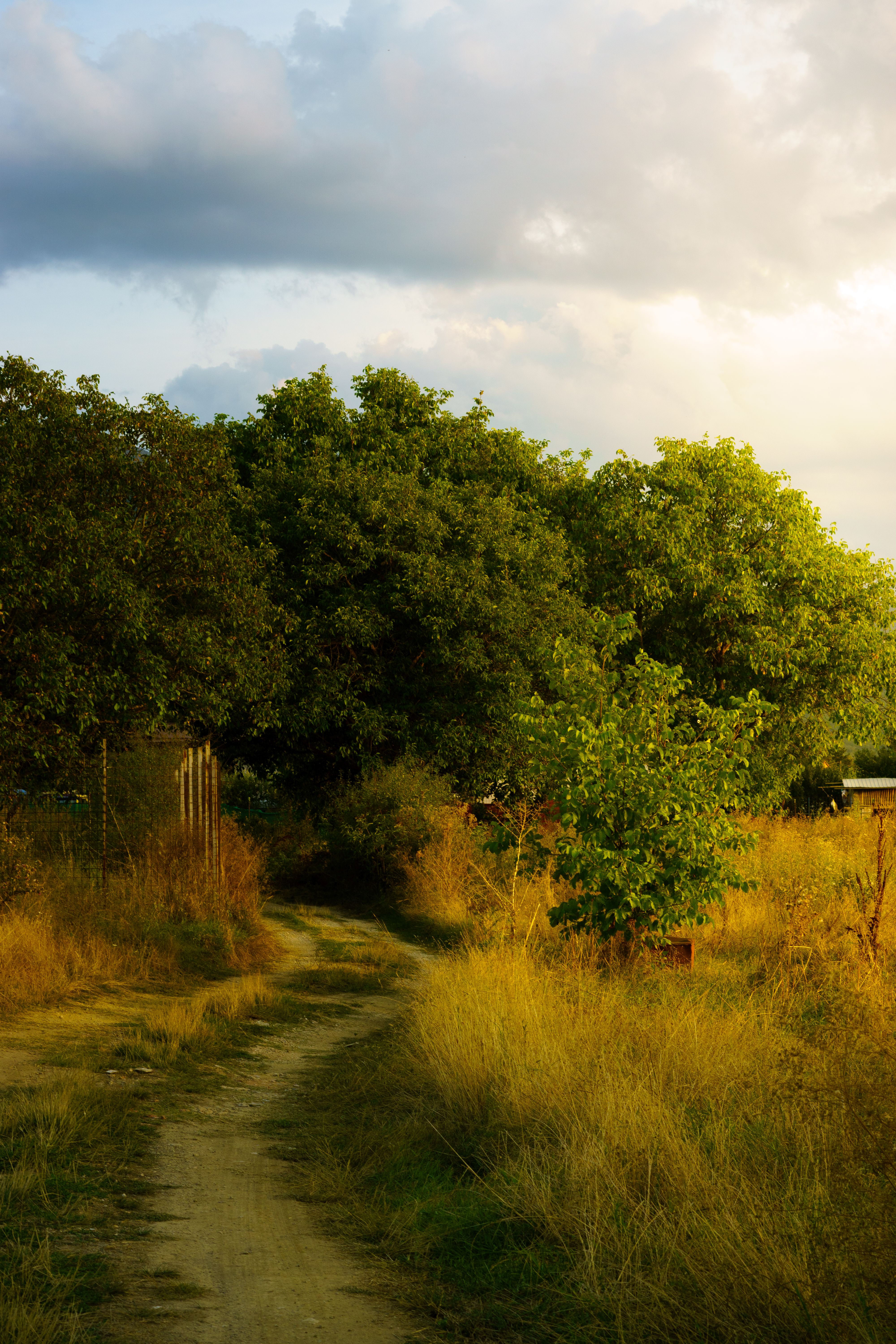 Scenic Country Pathway in Ohrid, North Macedonia · Free Stock Photo