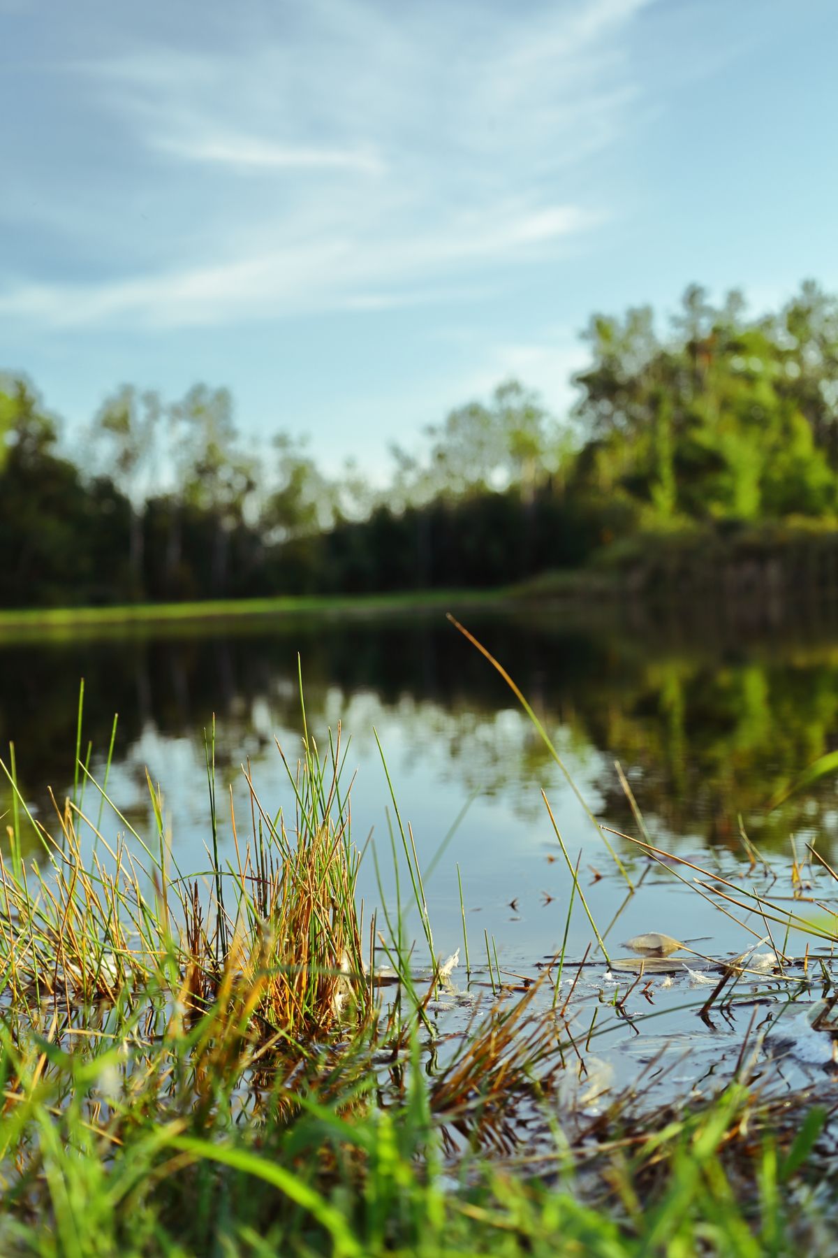 Water Conservation Poster Photos, Download The BEST Free Water ...