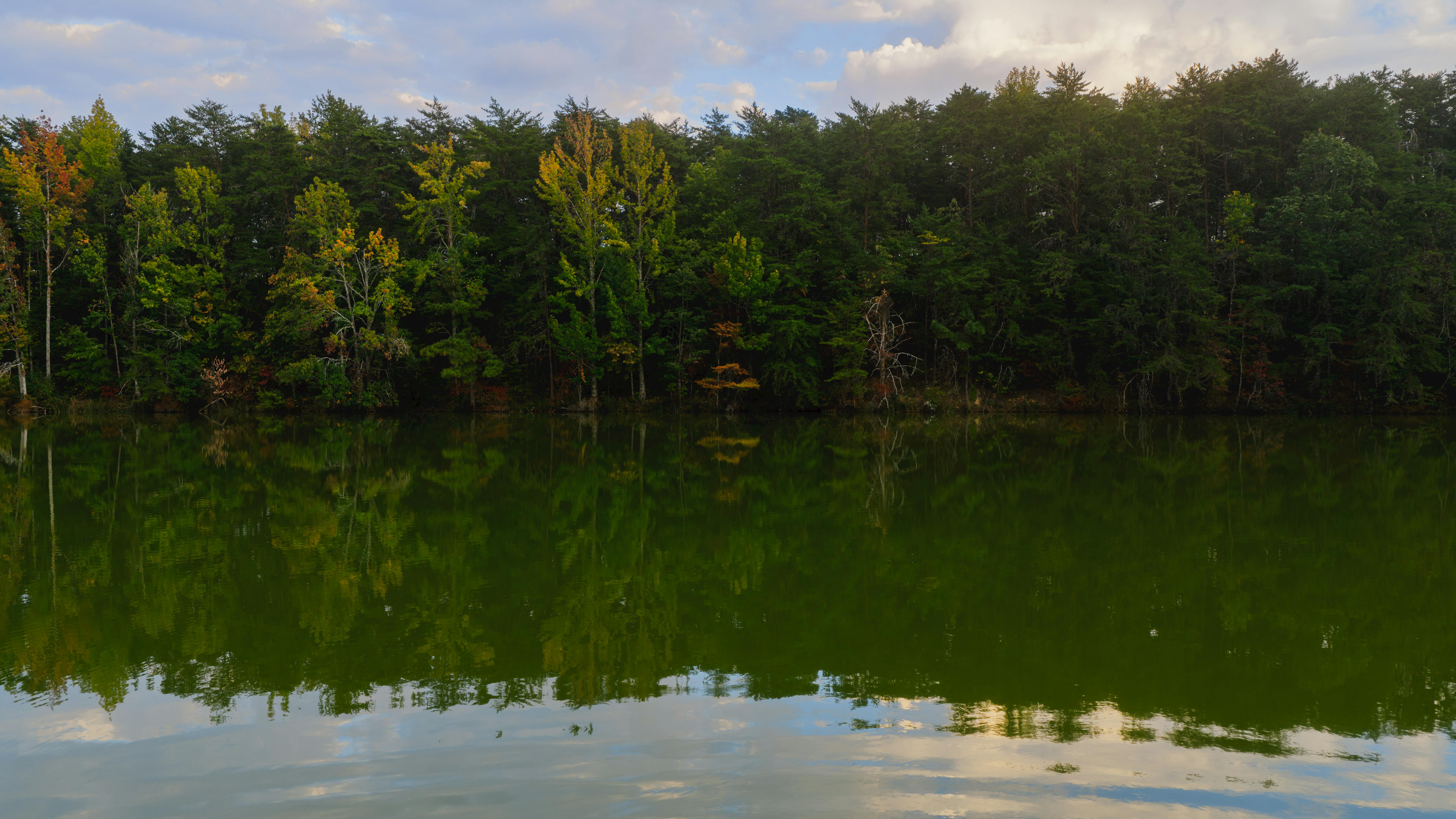 +To+The+Firsthite+Bacstock+Images+O+Kuccha+Kaam+Hai+Na+Kari+Ni+Hoy+Na ...