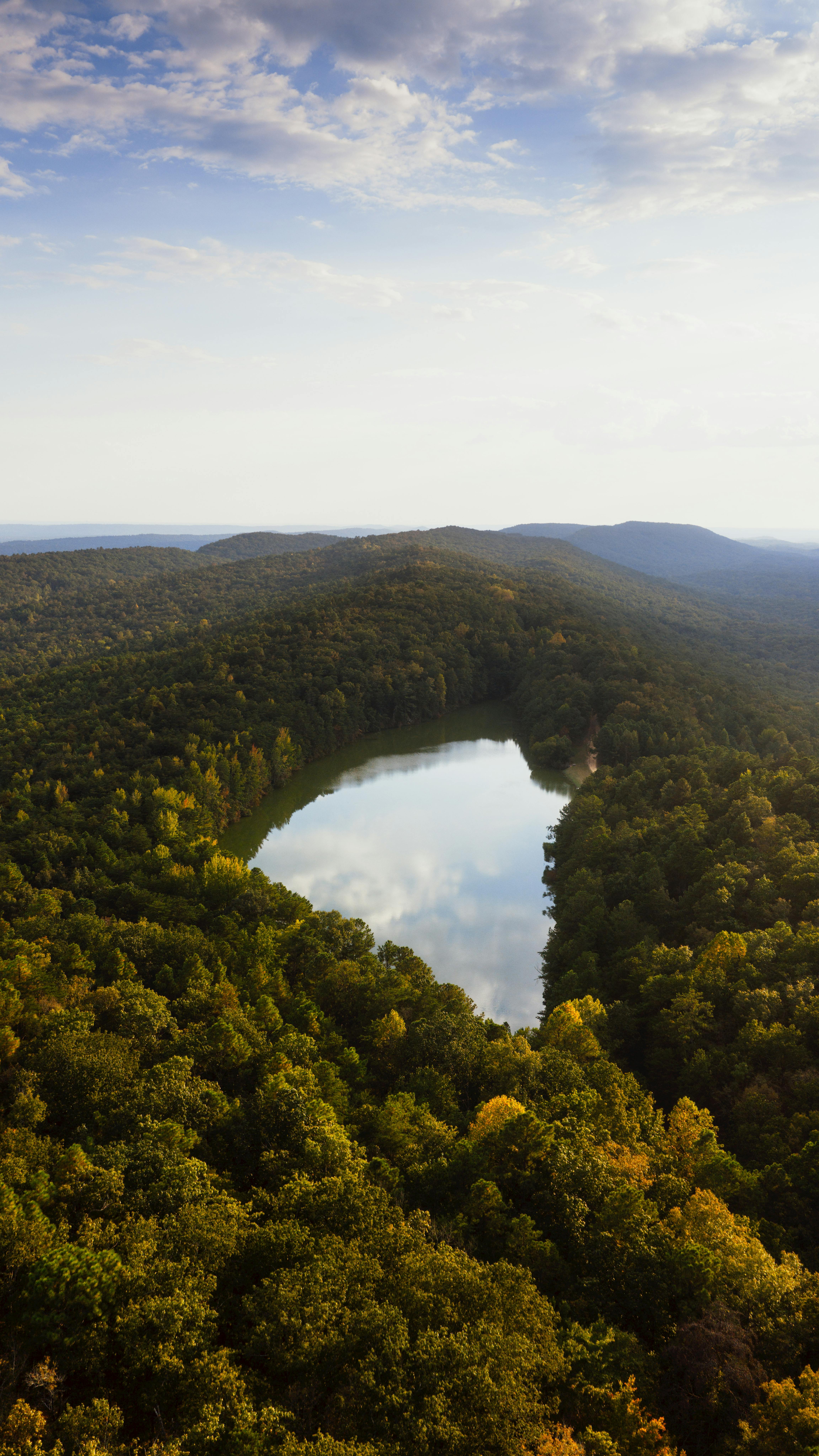 Scenic Aerial View of Forested Lake in Alabama · Free Stock Photo