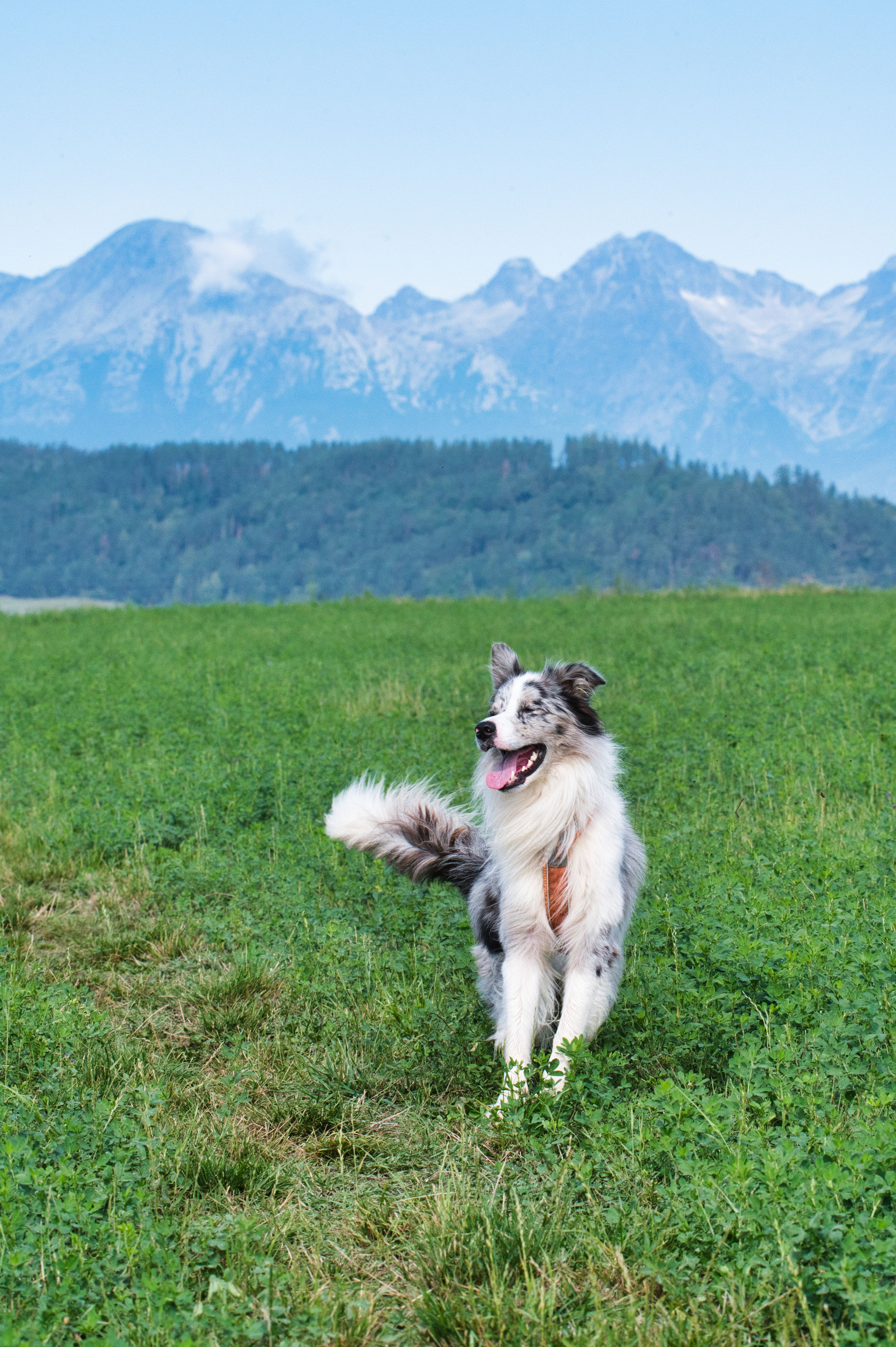 Slovakia Photos, Download The BEST Free Slovakia Stock Photos & HD Images