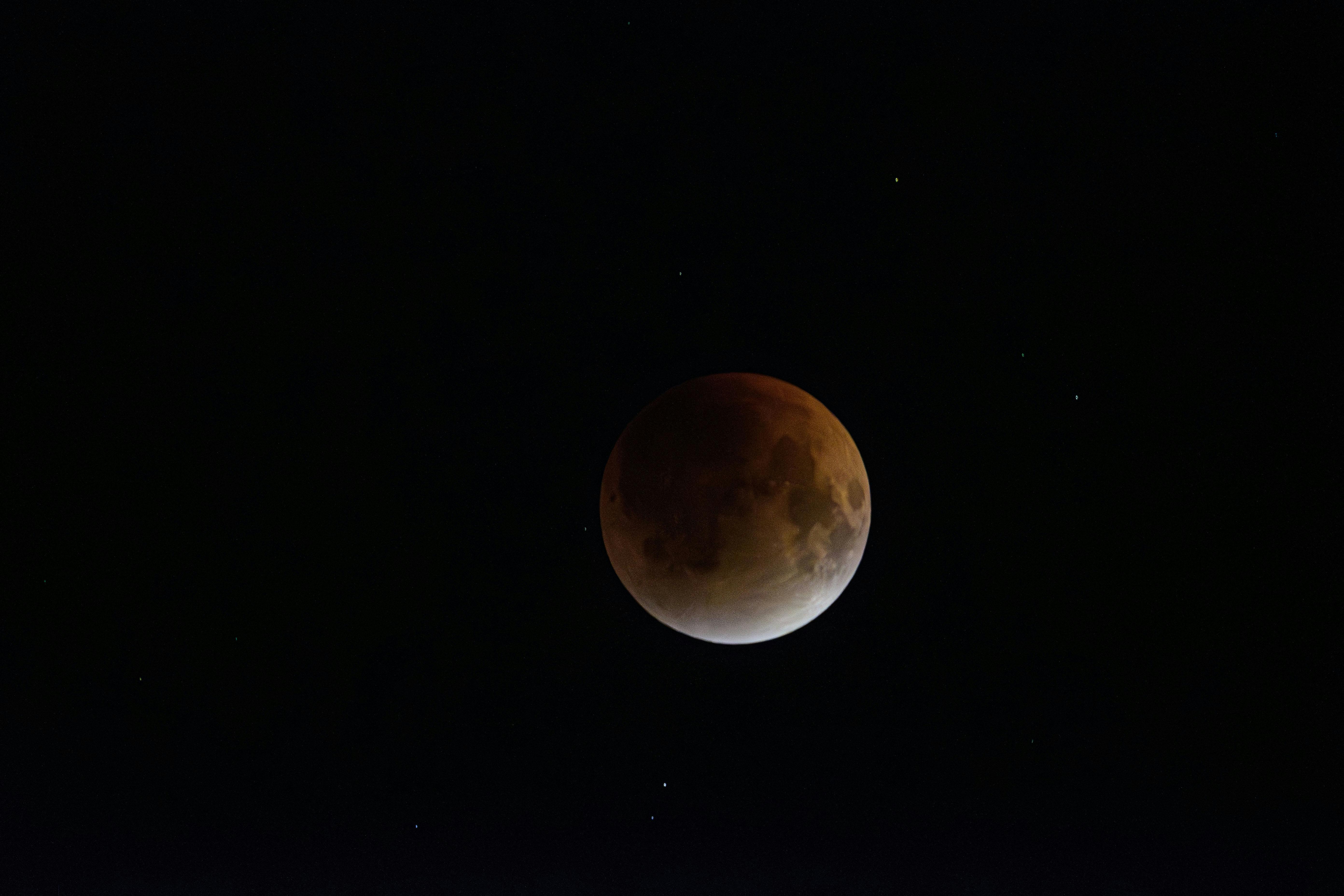 Oompa+Loompa+Image Photos, Download The BEST Free Oompa+Loompa+Image ...