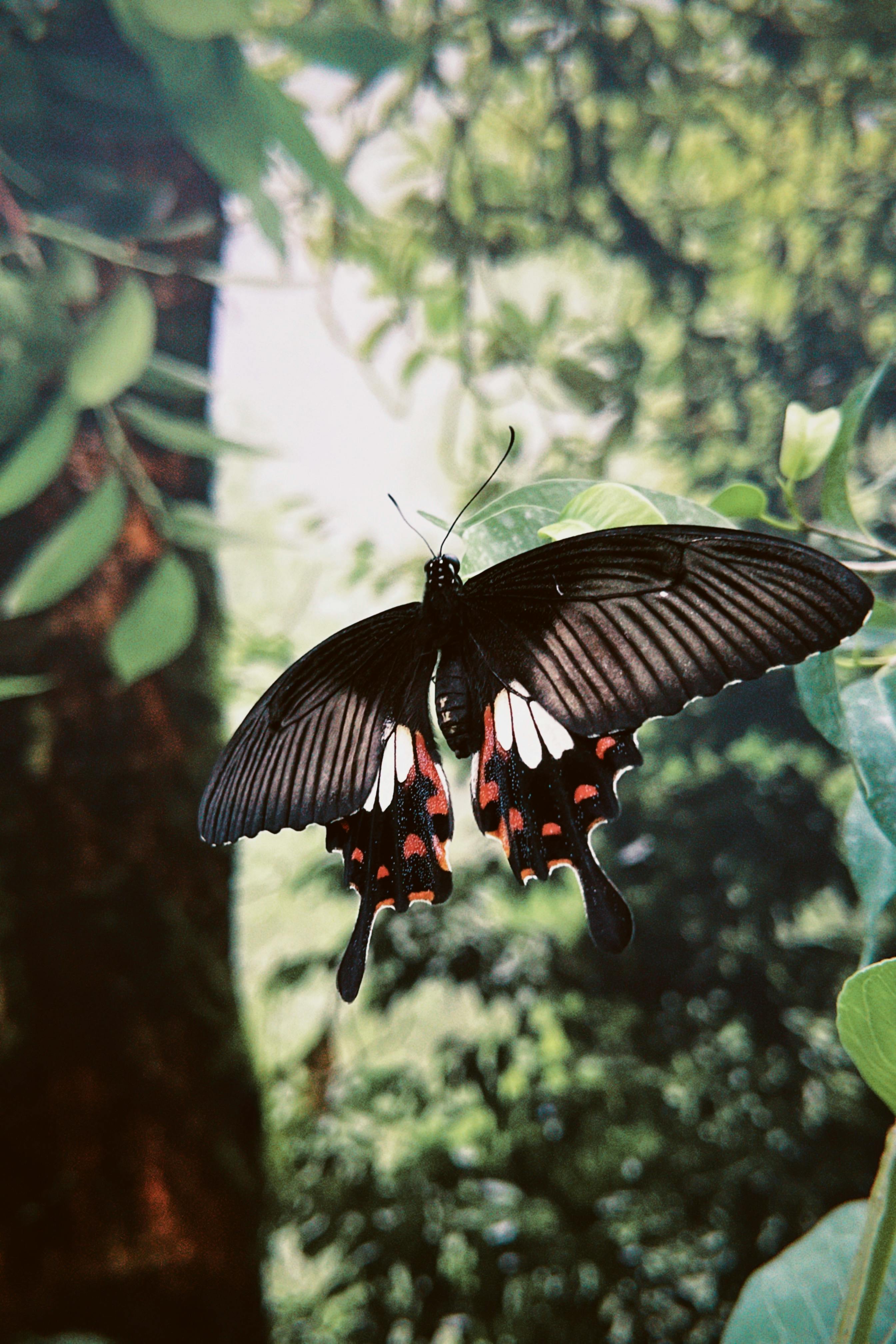 Free No Copyright Cartoon Photos, Download The BEST Free Free No ...