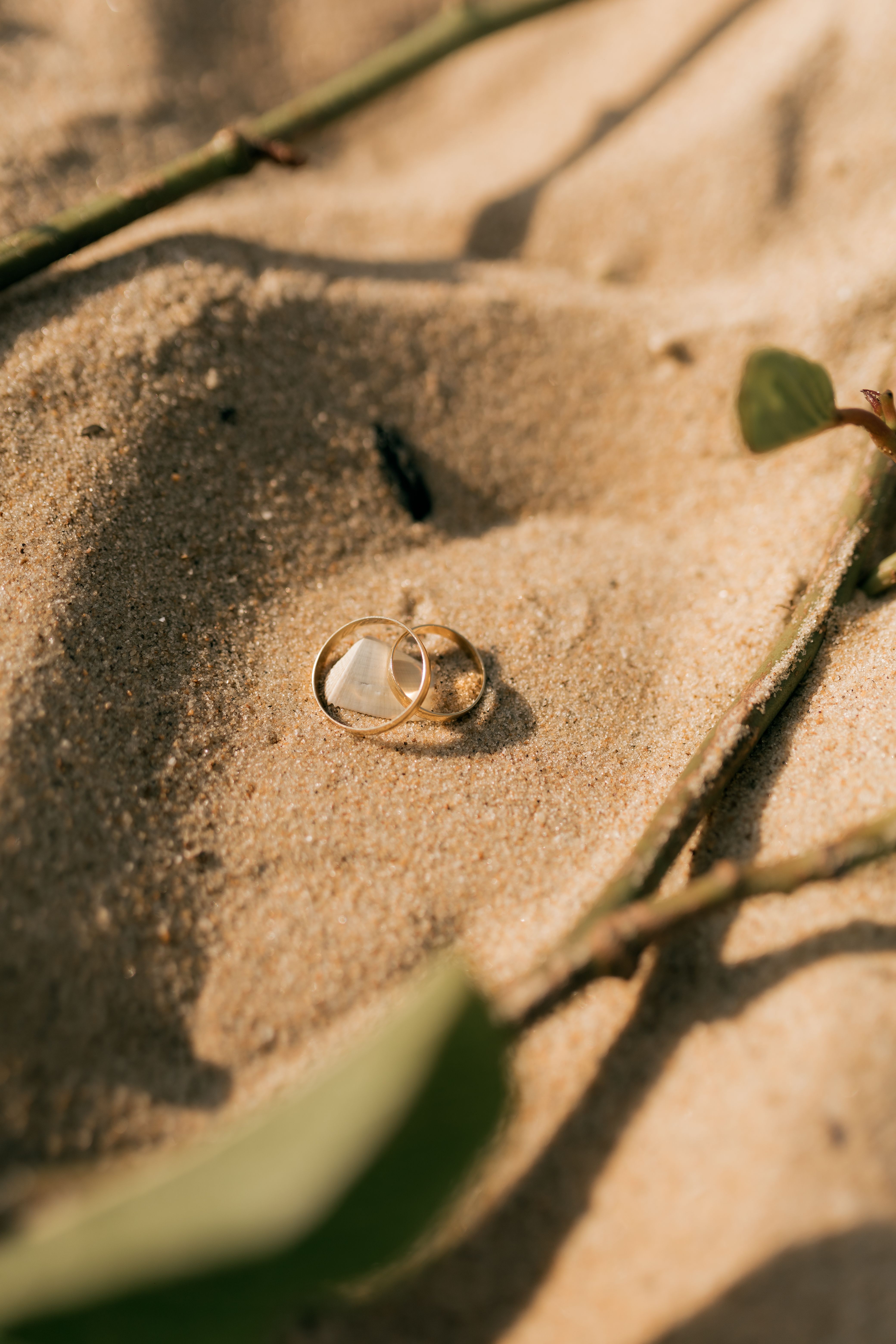 Golden Rings on Sandy Beach with Leaves · Free Stock Photo