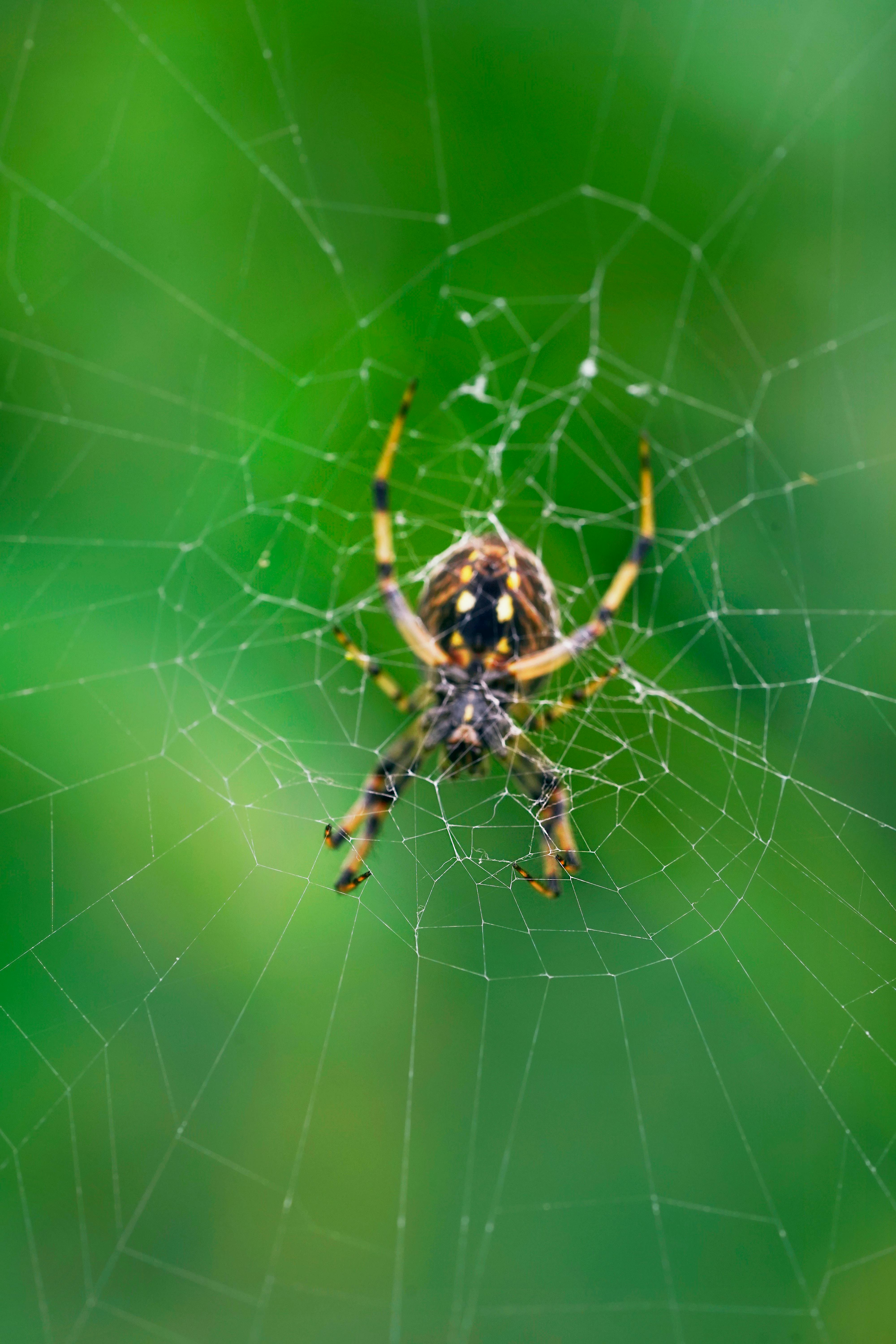 Devops+Cover+Photo+For+Linkedin Photos, Download The BEST Free Devops ...