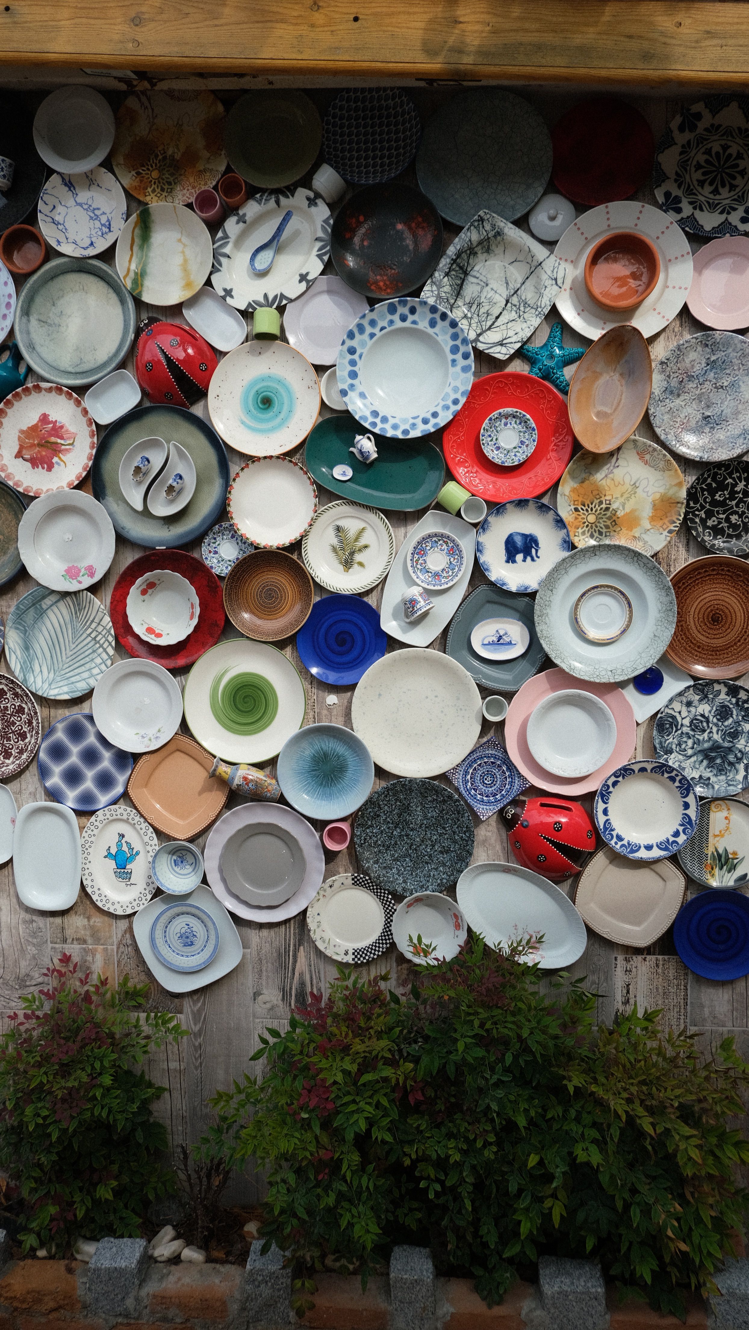 Collection Of Plates Photos, Download The BEST Free Collection Of ...