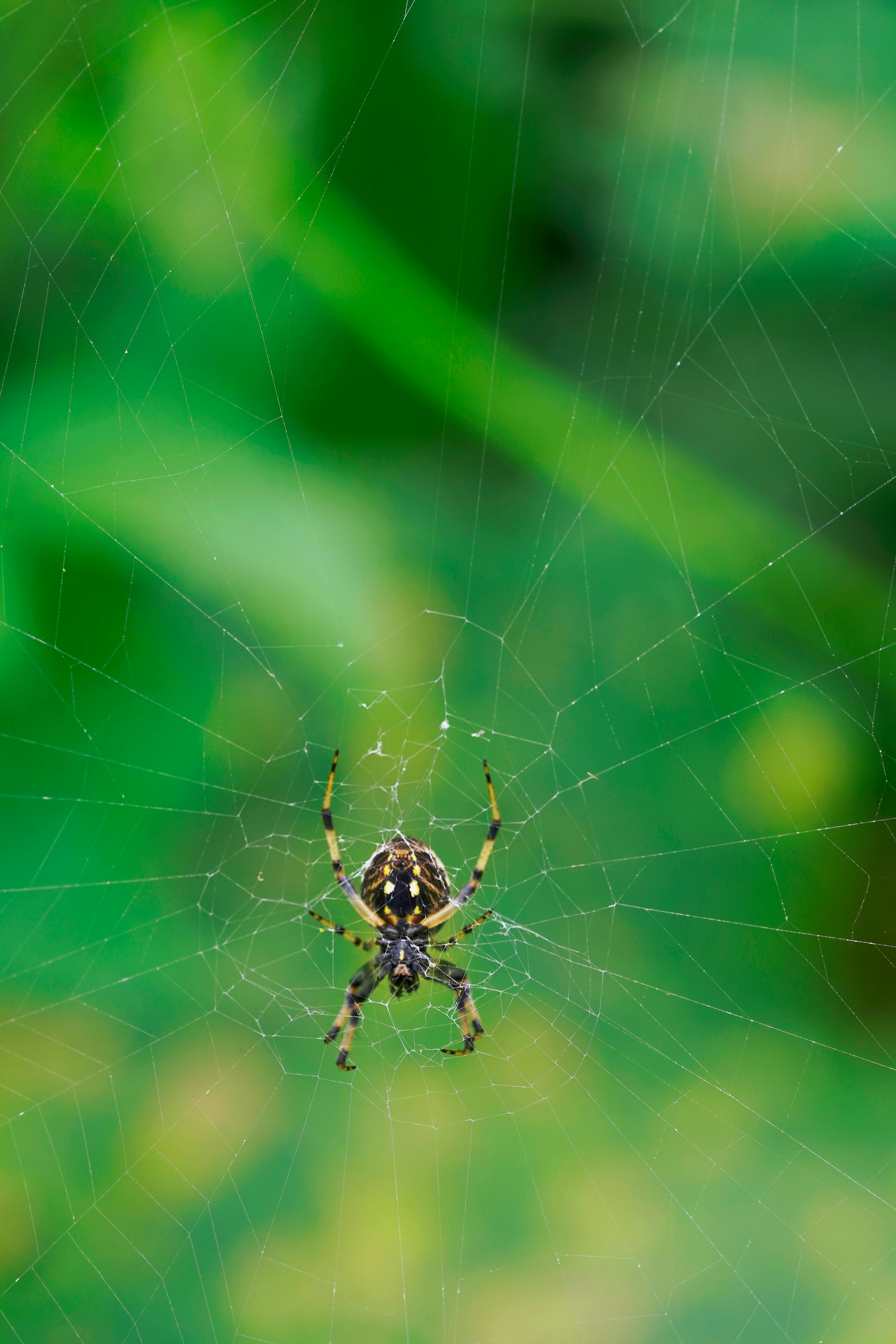 Devops+Cover+Photo+For+Linkedin Photos, Download The BEST Free Devops ...