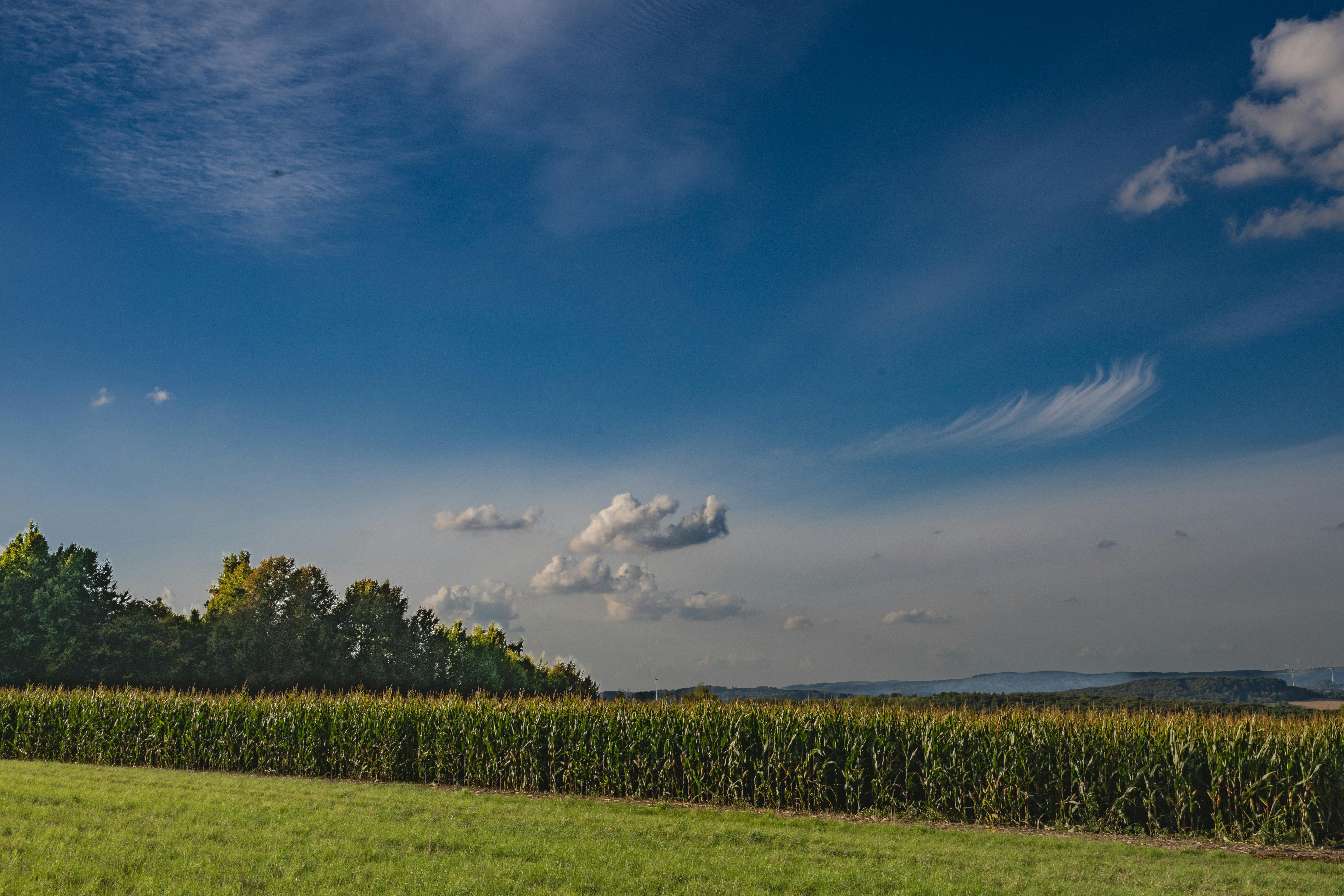 Sky Background Badal Photos, Download The BEST Free Sky Background ...