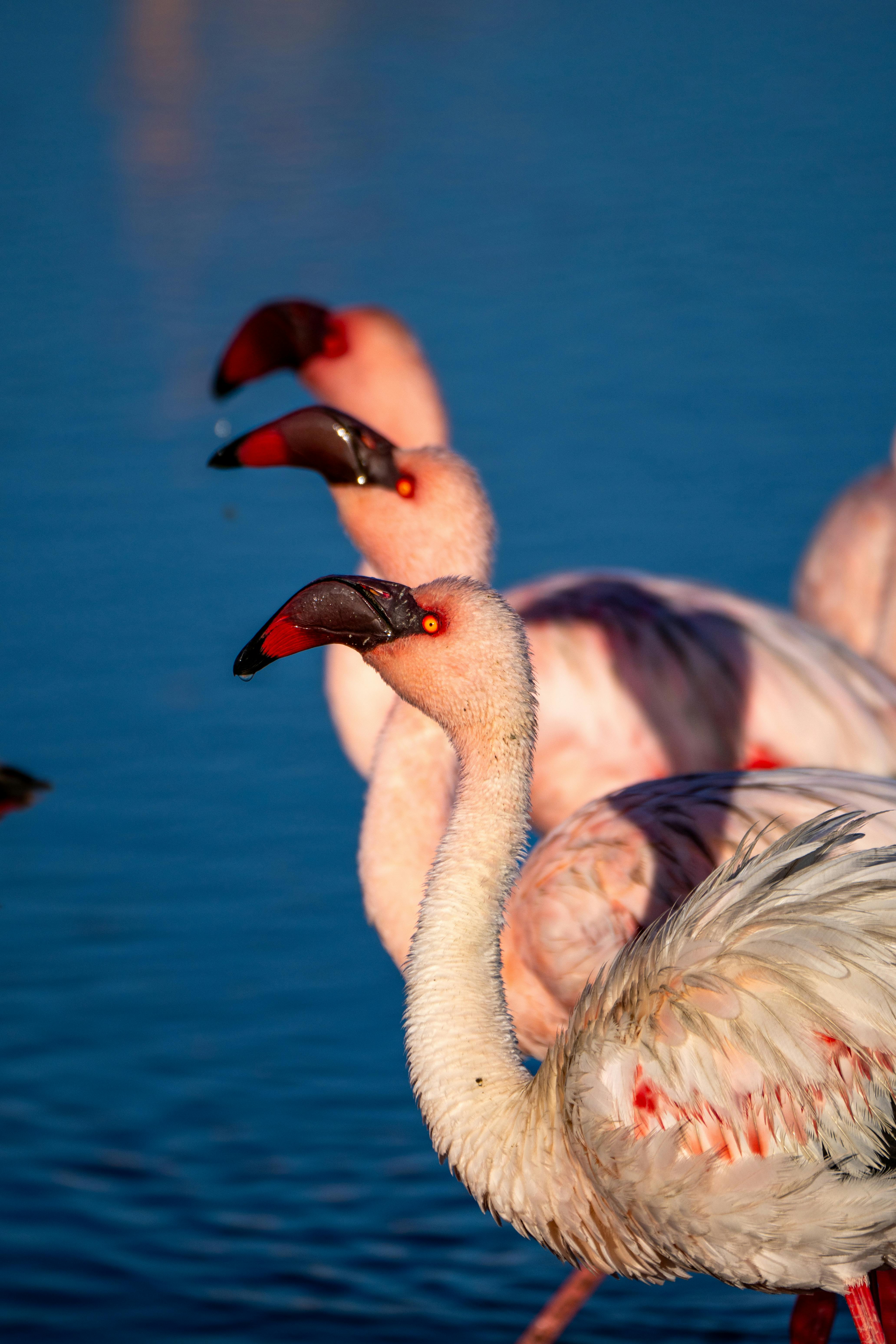 Snap Photos, Download The BEST Free Snap Stock Photos & HD Images